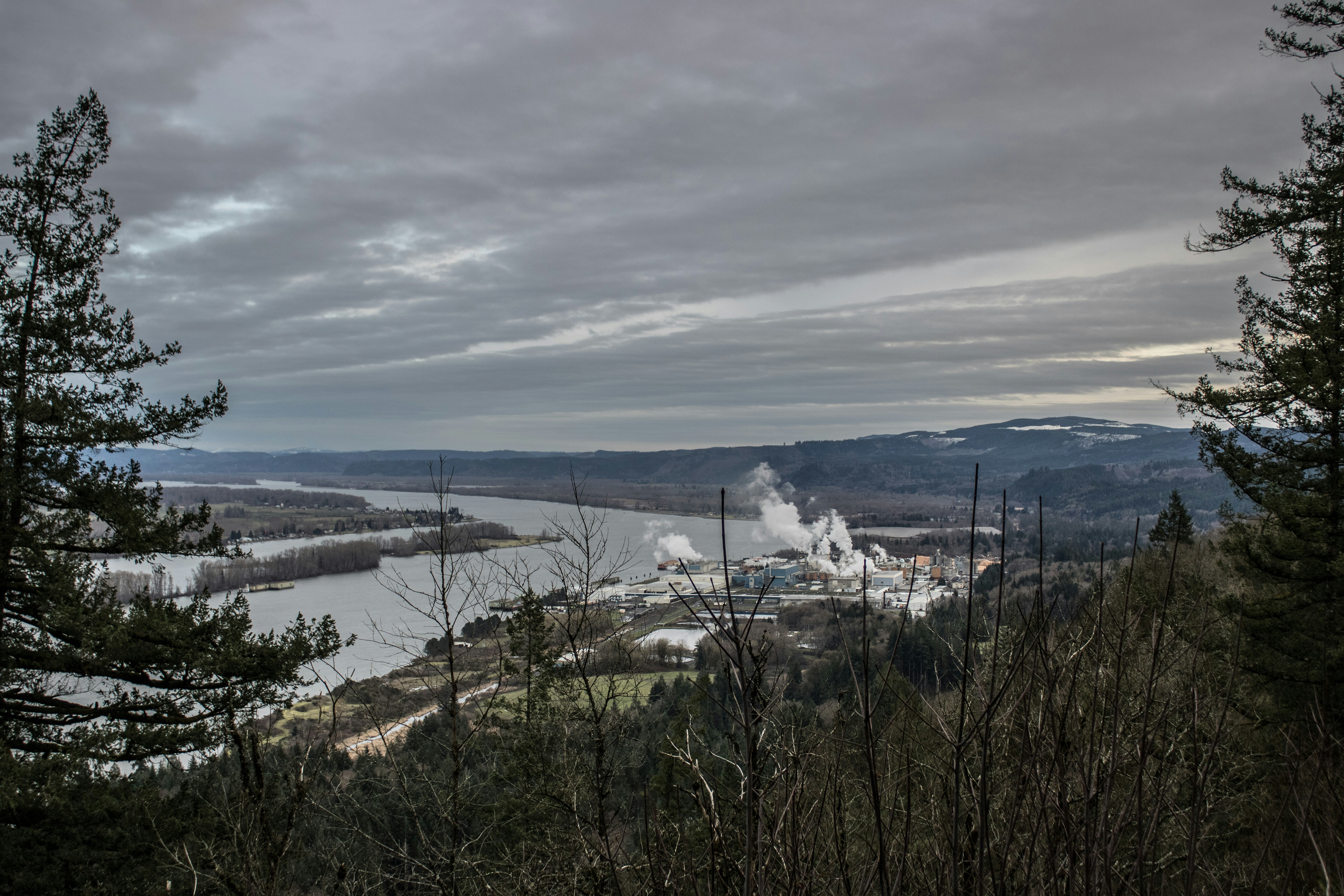 Photo by Peter Robbins with Canon EOS 2000D