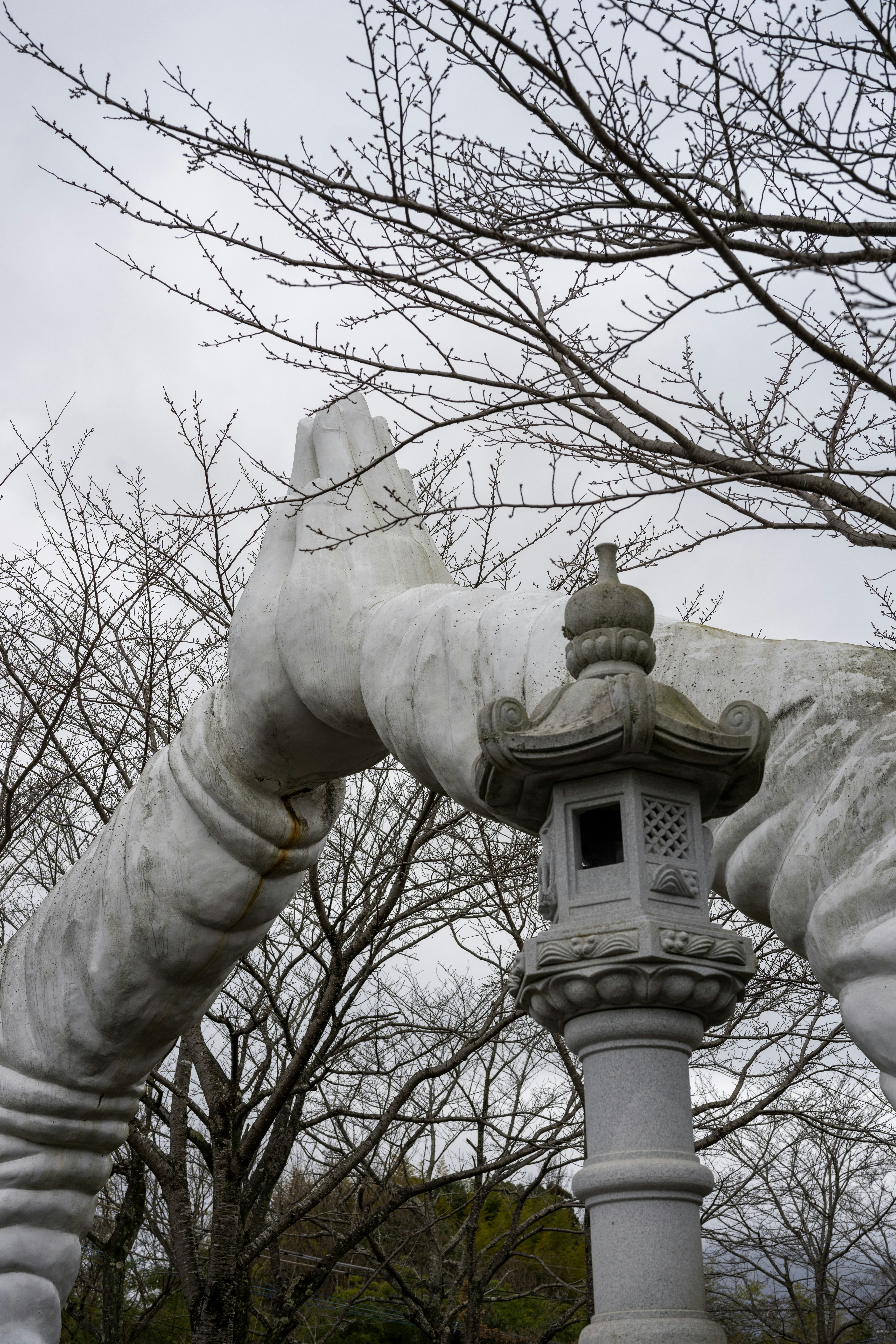 Lantern Between a Dragon Gate: Winter Quiet in a Stone Garden