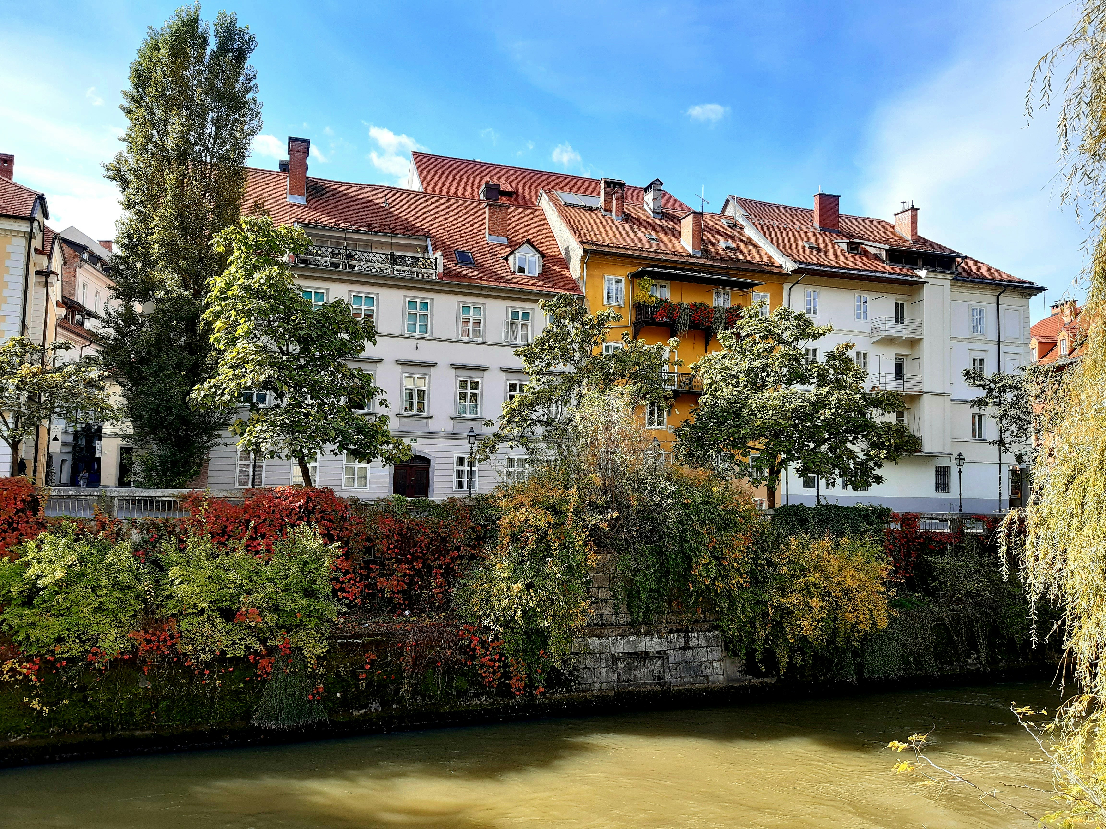 A river running through a city next to tall buildings photo – Free ...