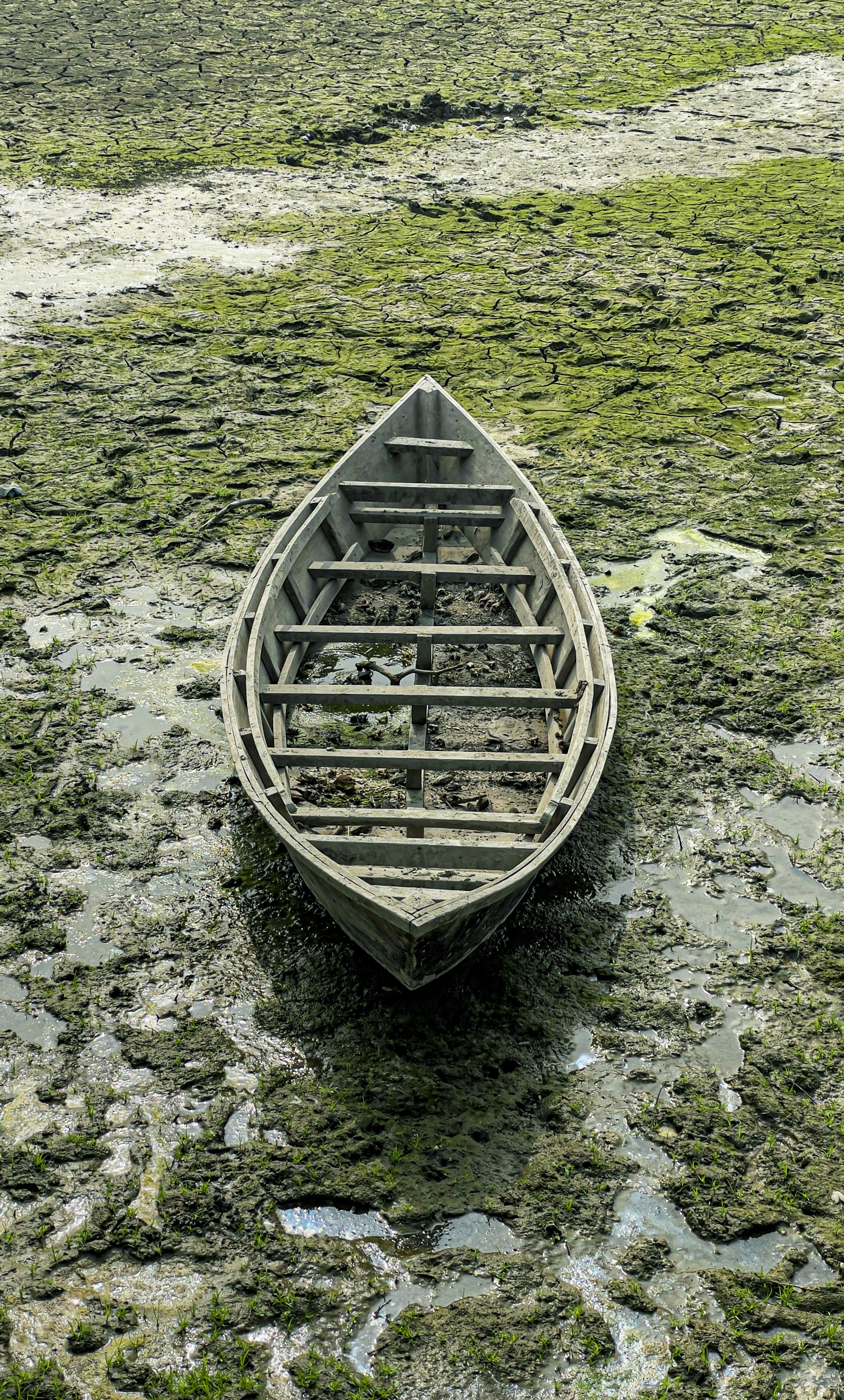 Forgotten Vessel Amidst Nature's Canvas