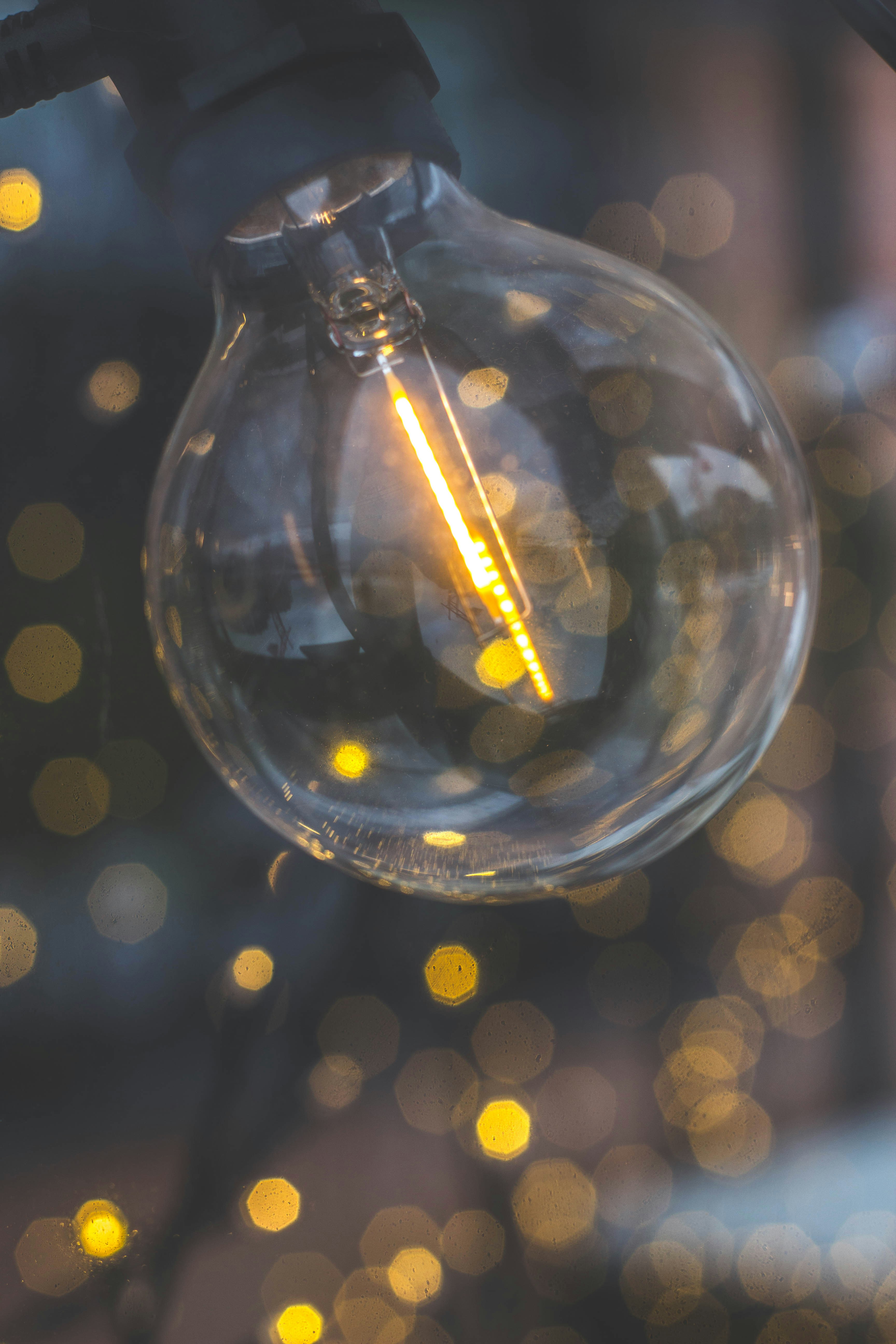 A close up of a light bulb with a blurry background photo – Free Winter ...