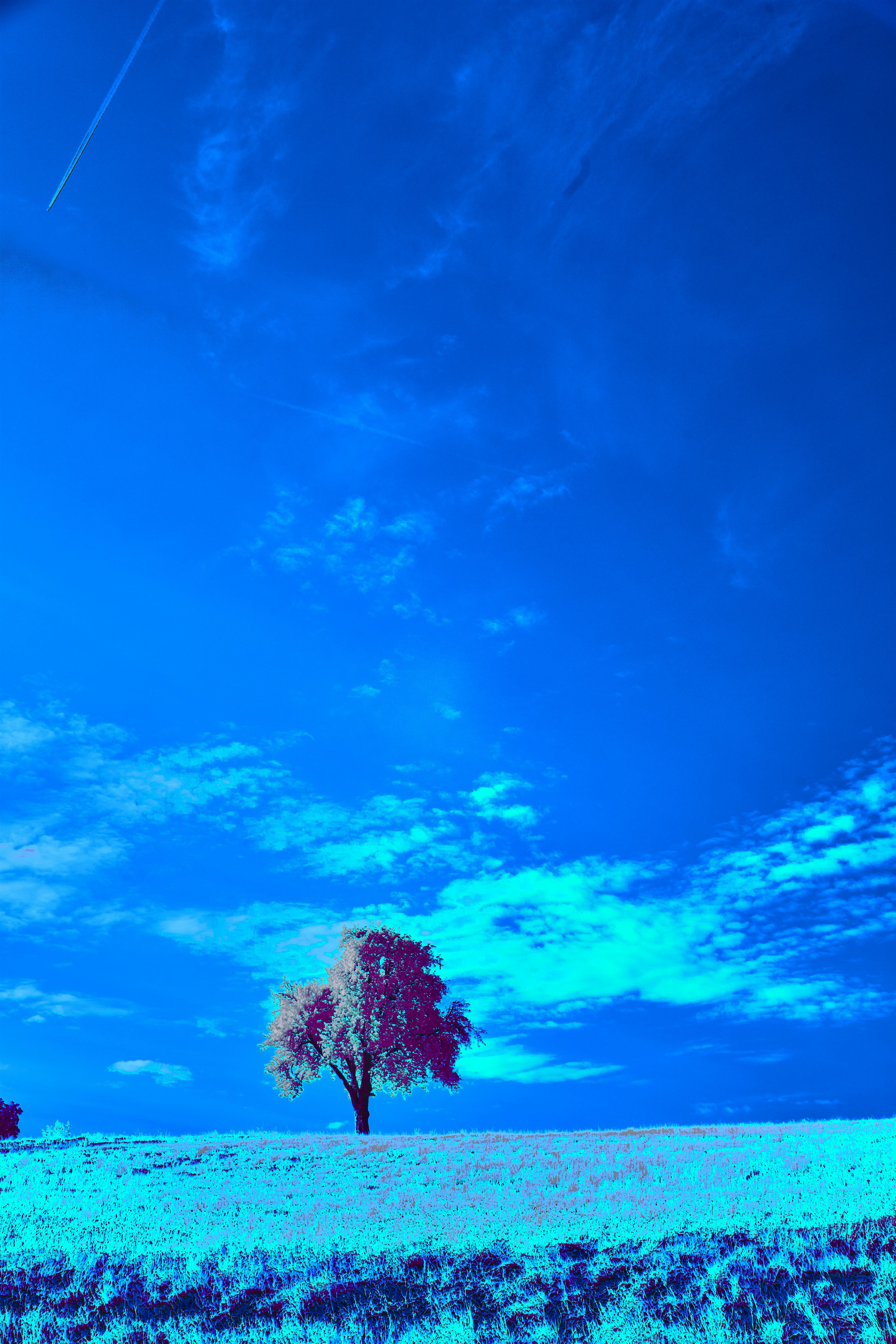 Photo by Wolfgang Hasselmann with Sony Alpha 7 IV