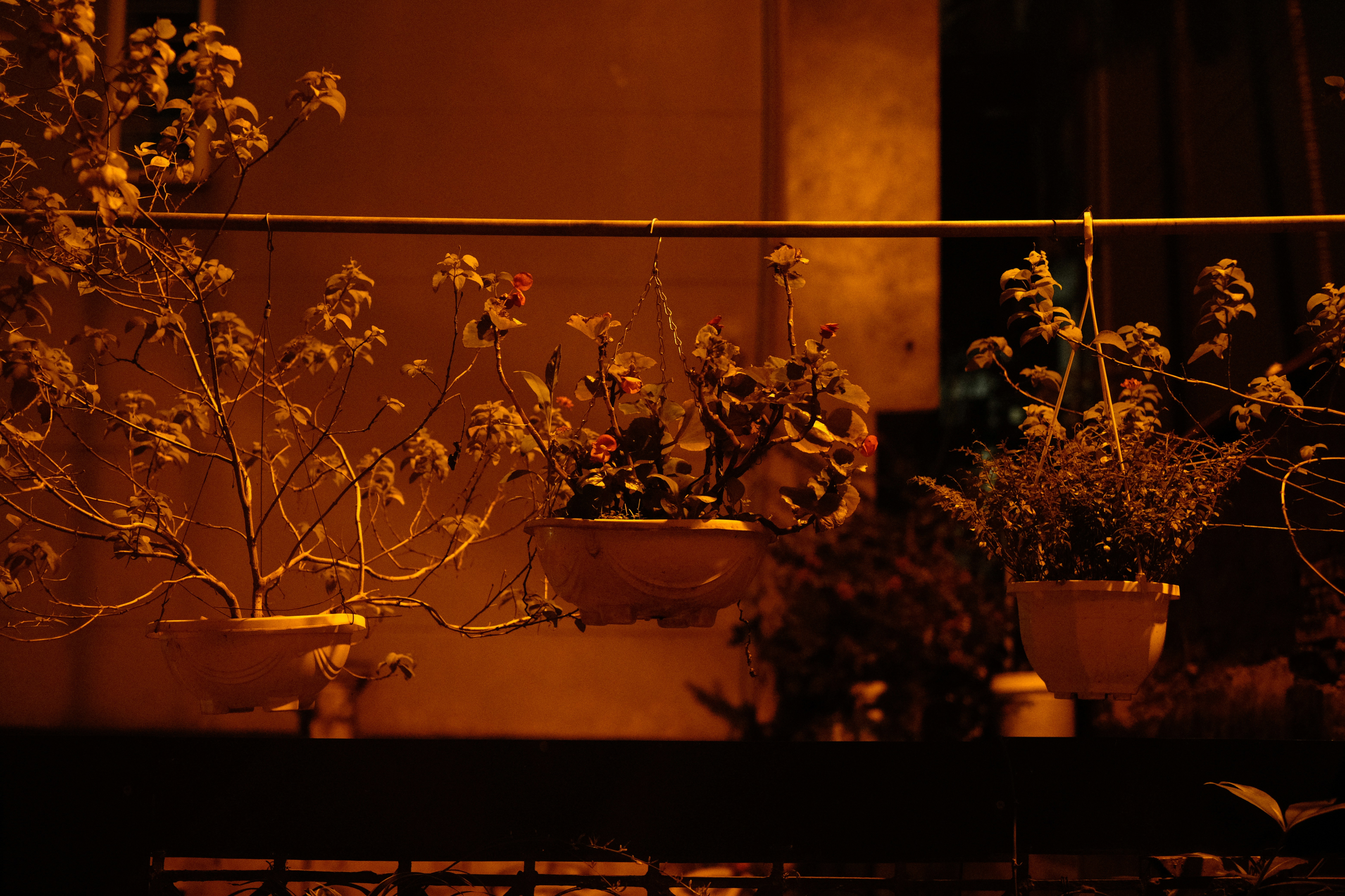 Amber Evening on a Balcony: Pots in a Soft Streetlamp Glow
