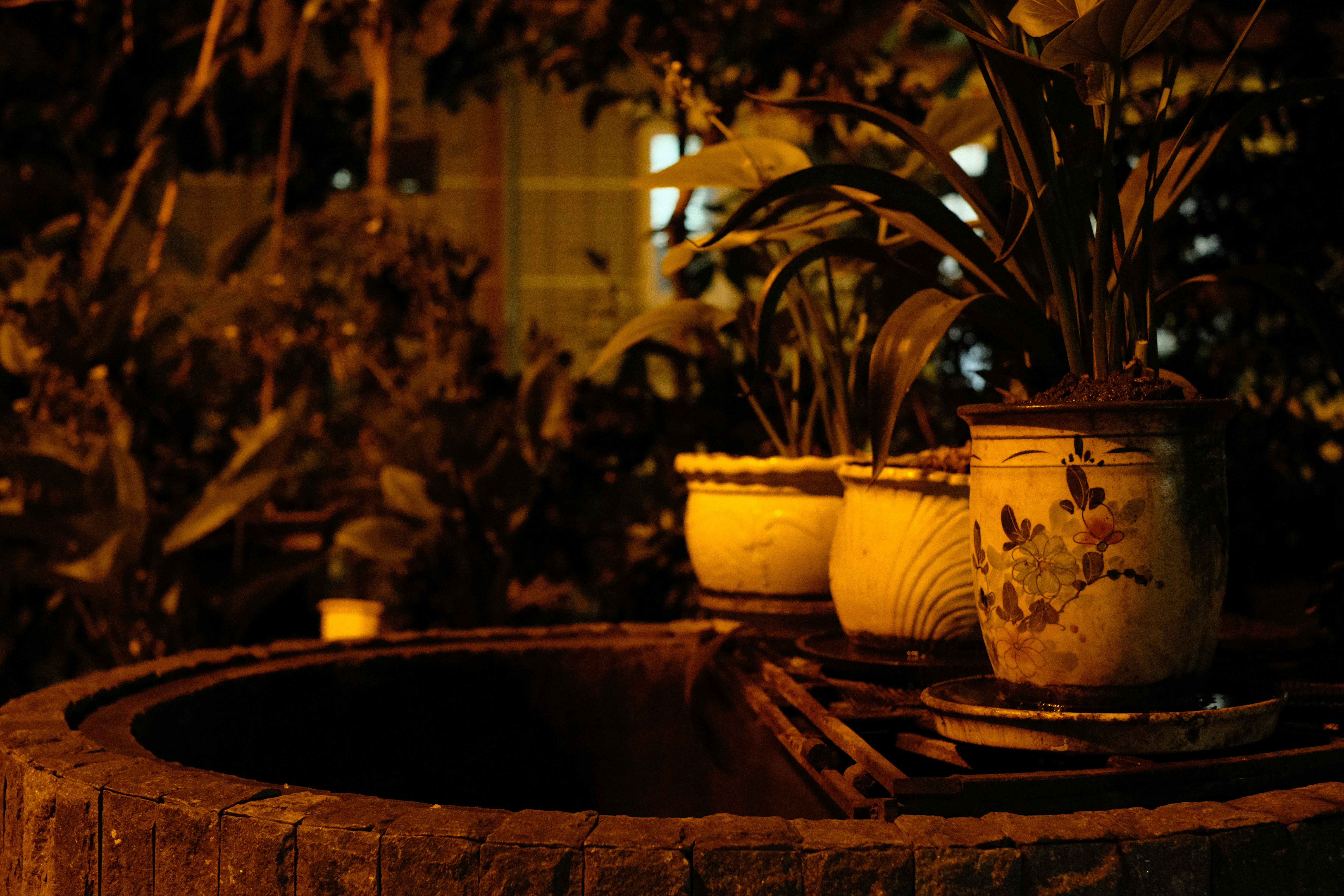 a group of potted plants sitting on top of a wooden table