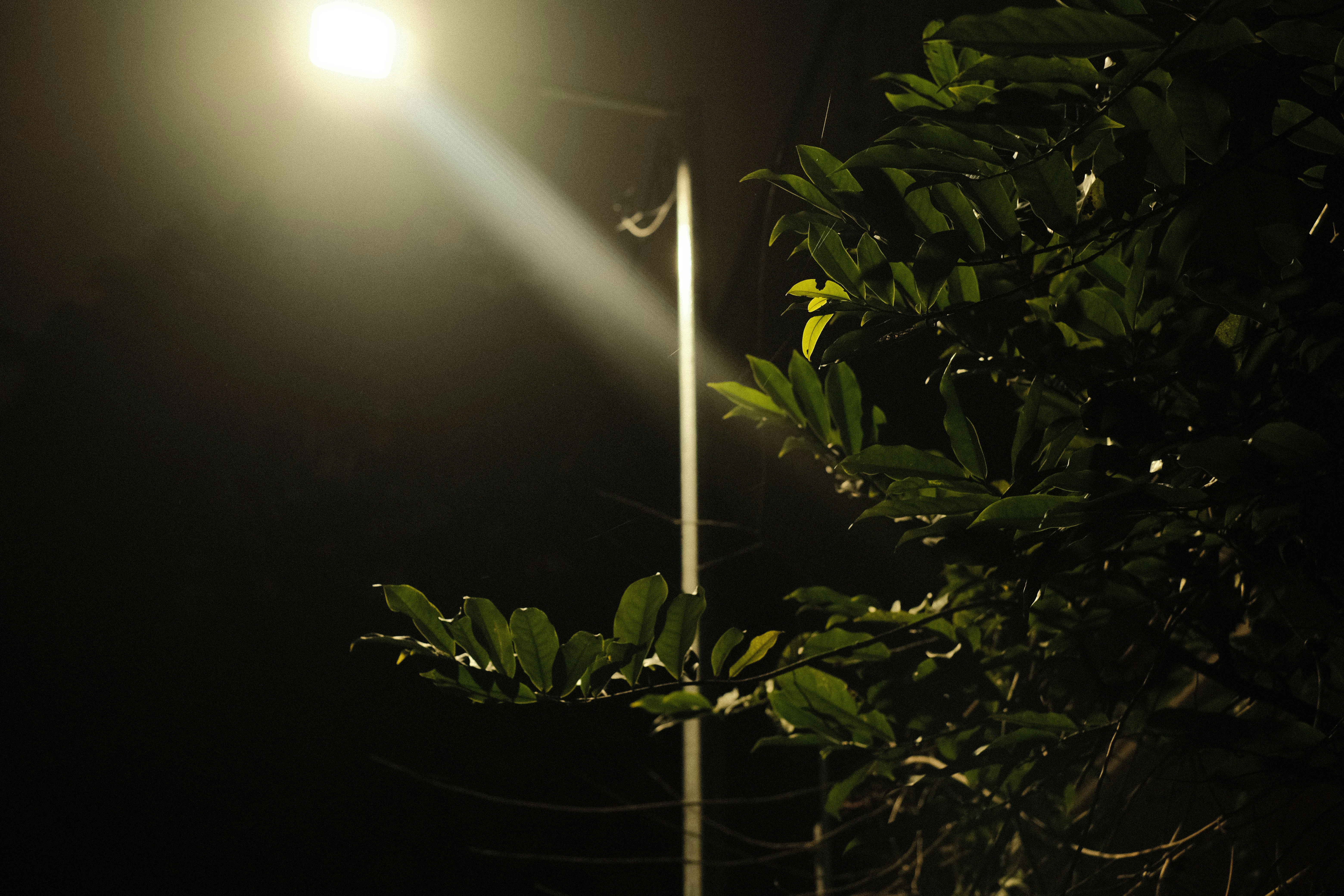 Photo by Khanh Do with Fujifilm X-T30