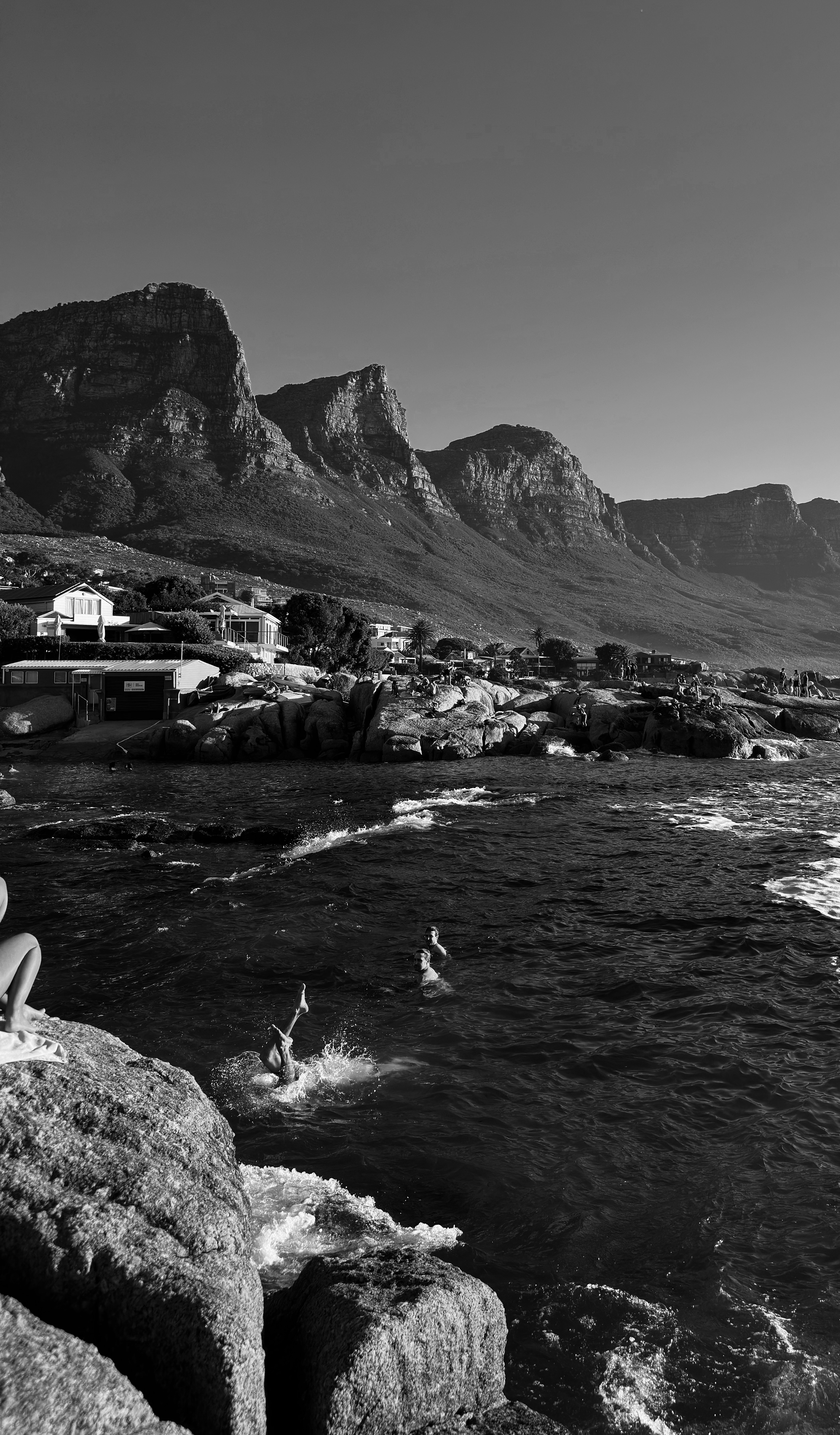 Granite Coastline Dippers: Daring in the Grey Sea