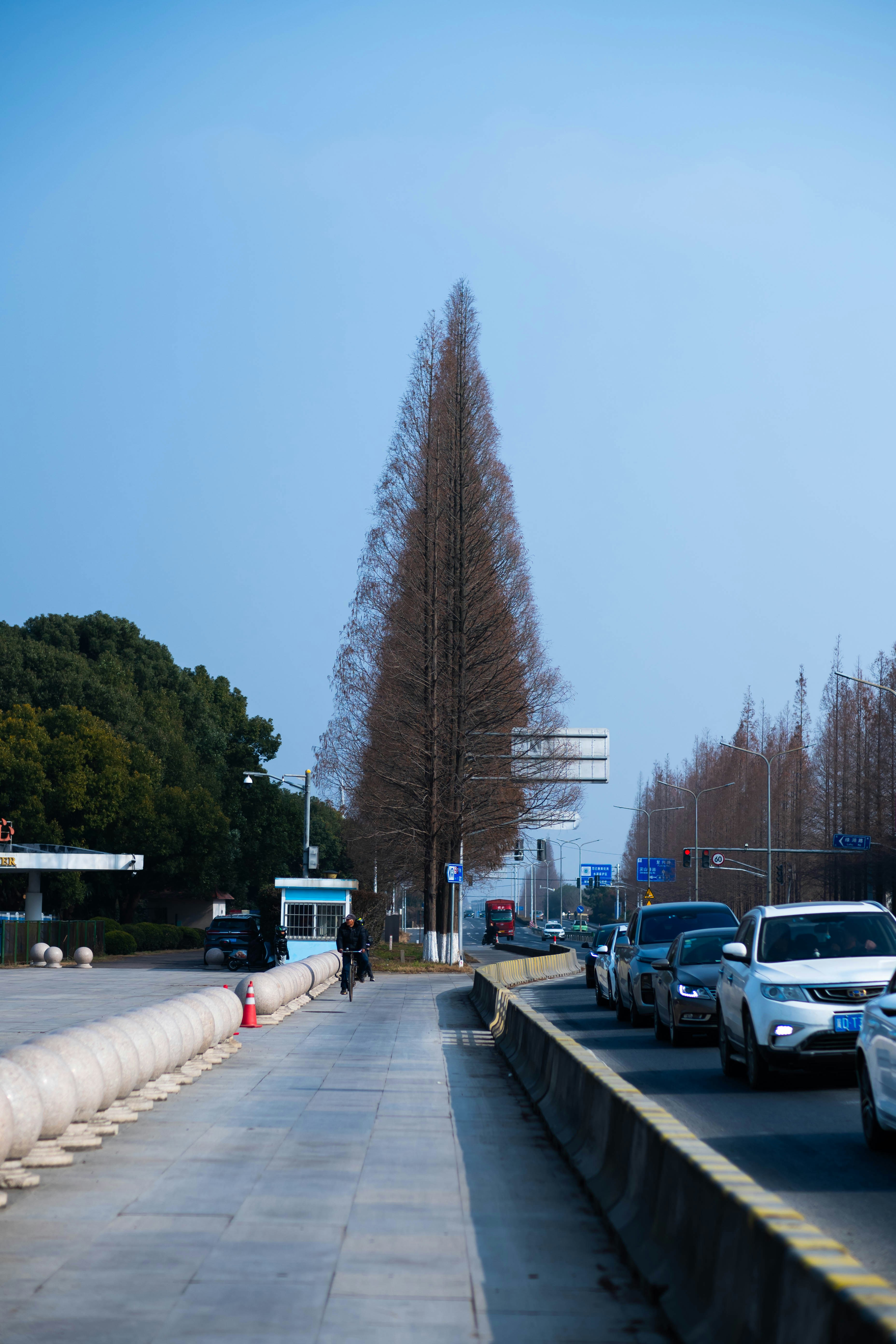 Photo by Cun Mo with Nikon Z30