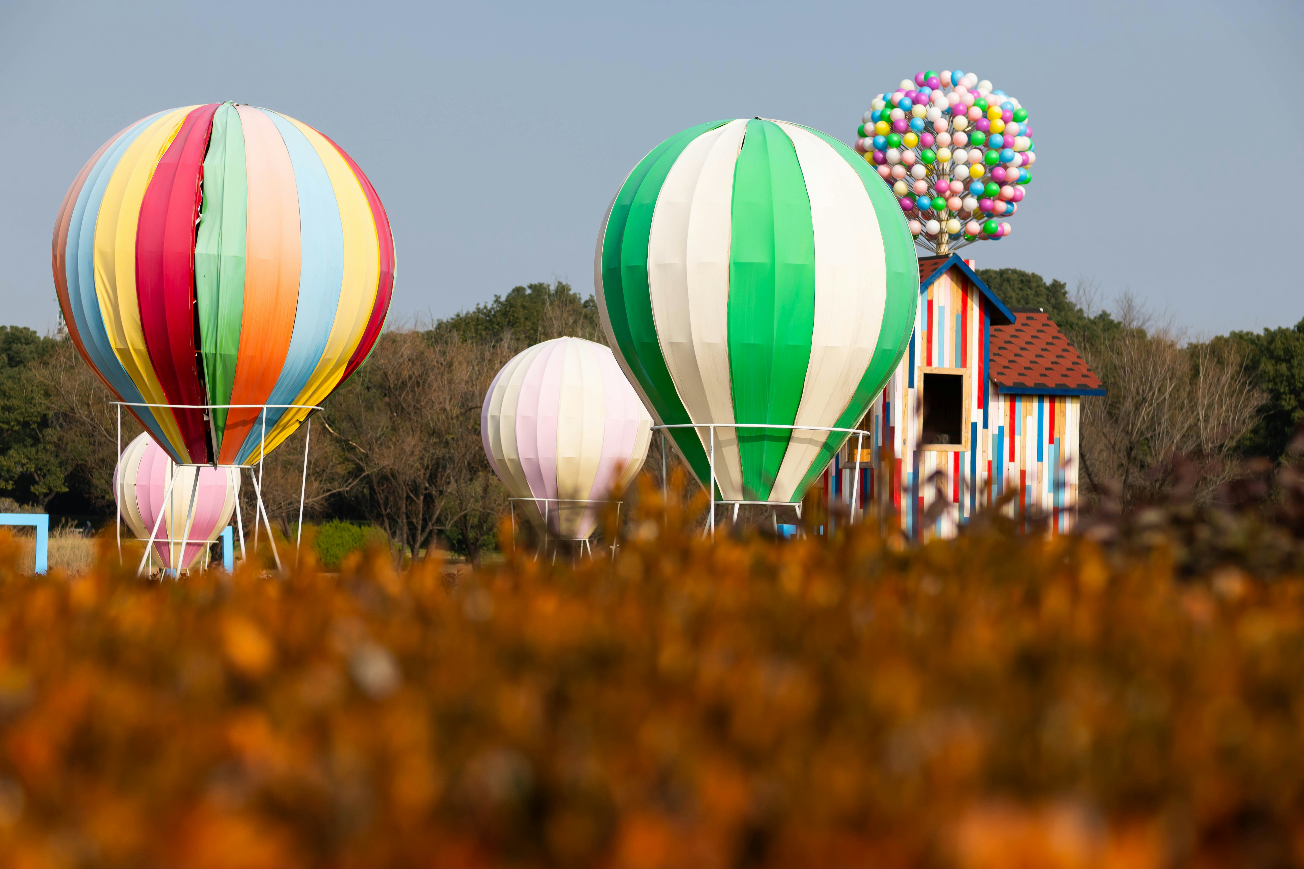 Colorful Balloons Over a Field of Autumnal Blur