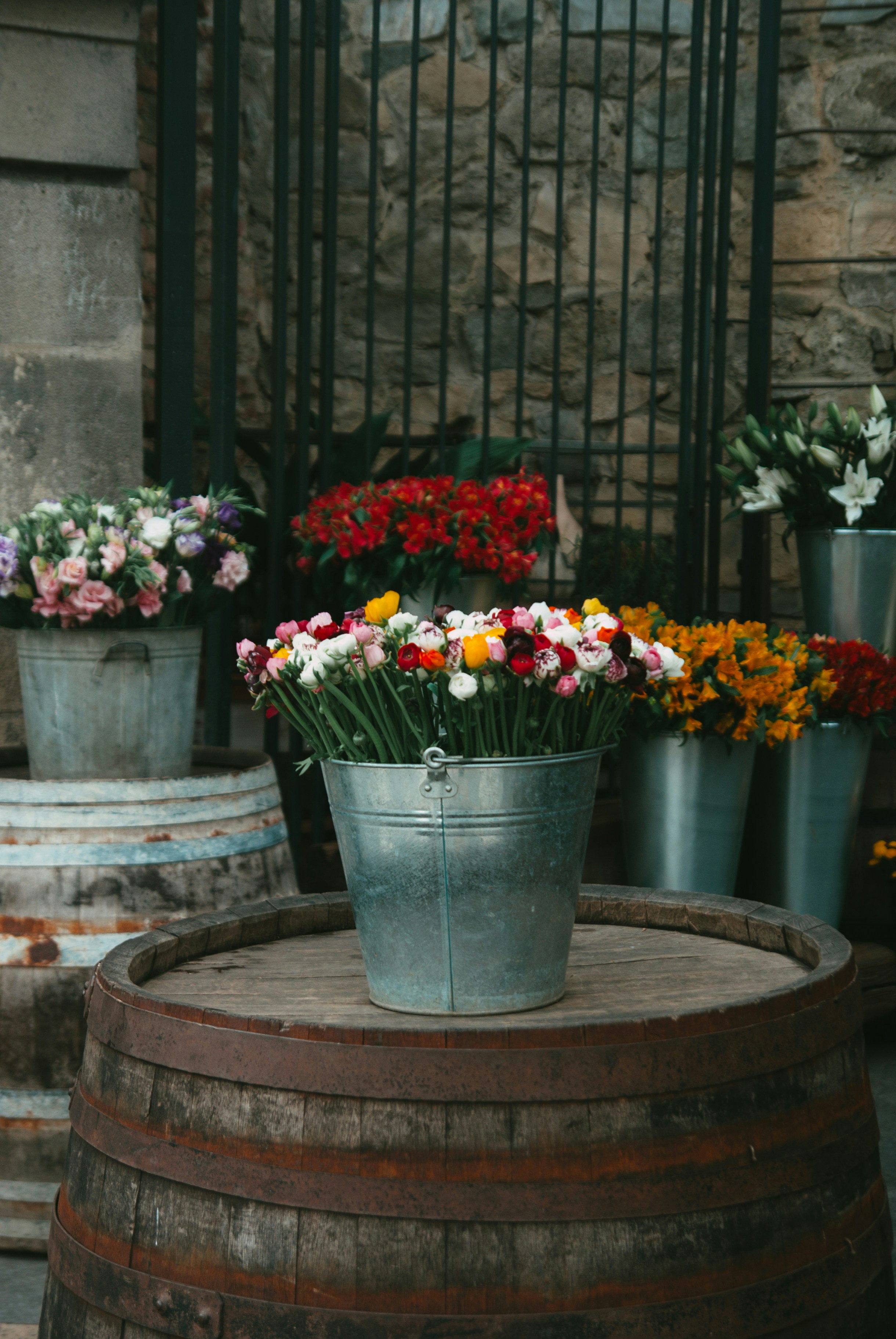 Bloom on Metal: Colorful Flower Buckets Resting on Weathered Barrels