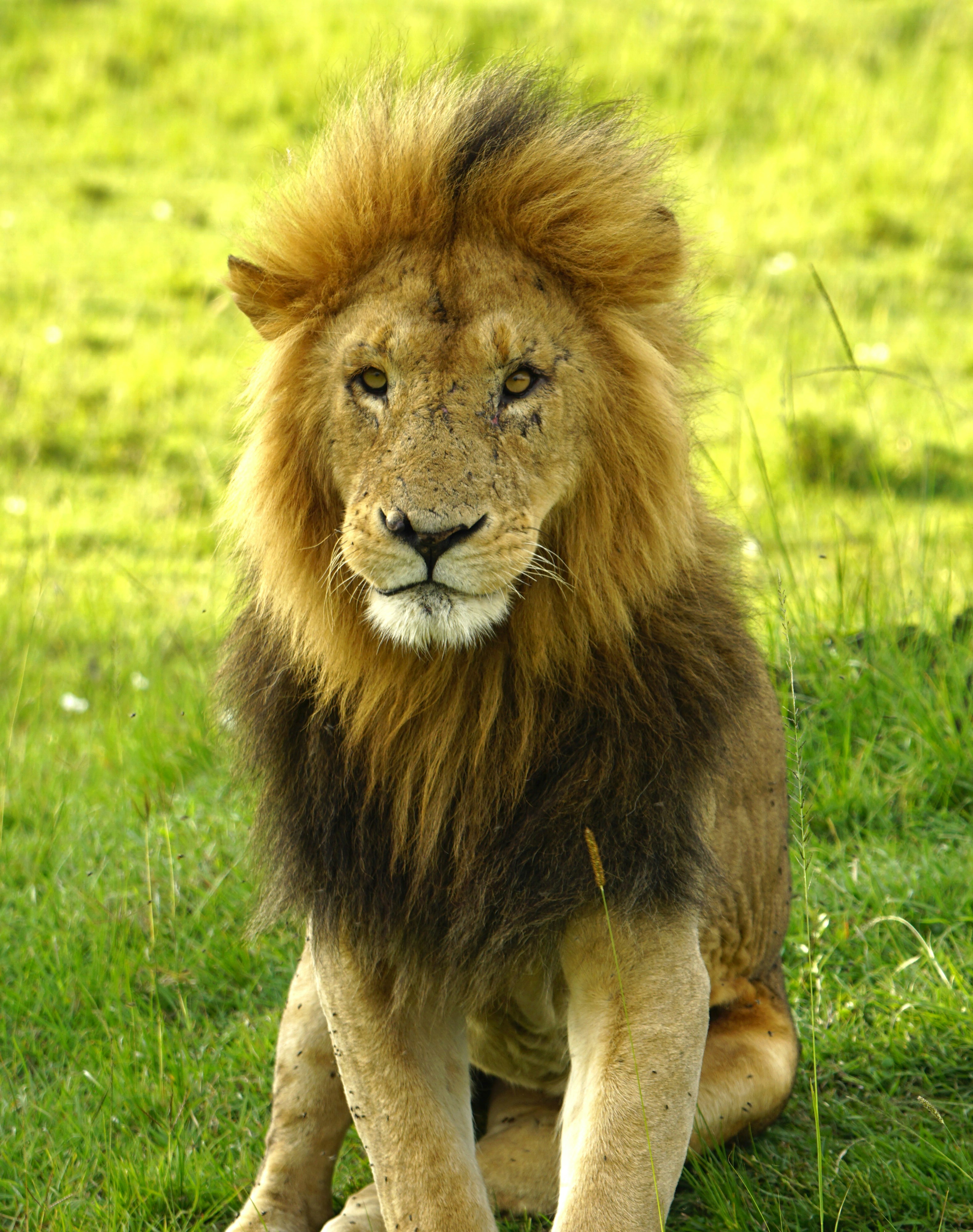 Photo by Gurth Bramall with Sony Alpha 6000