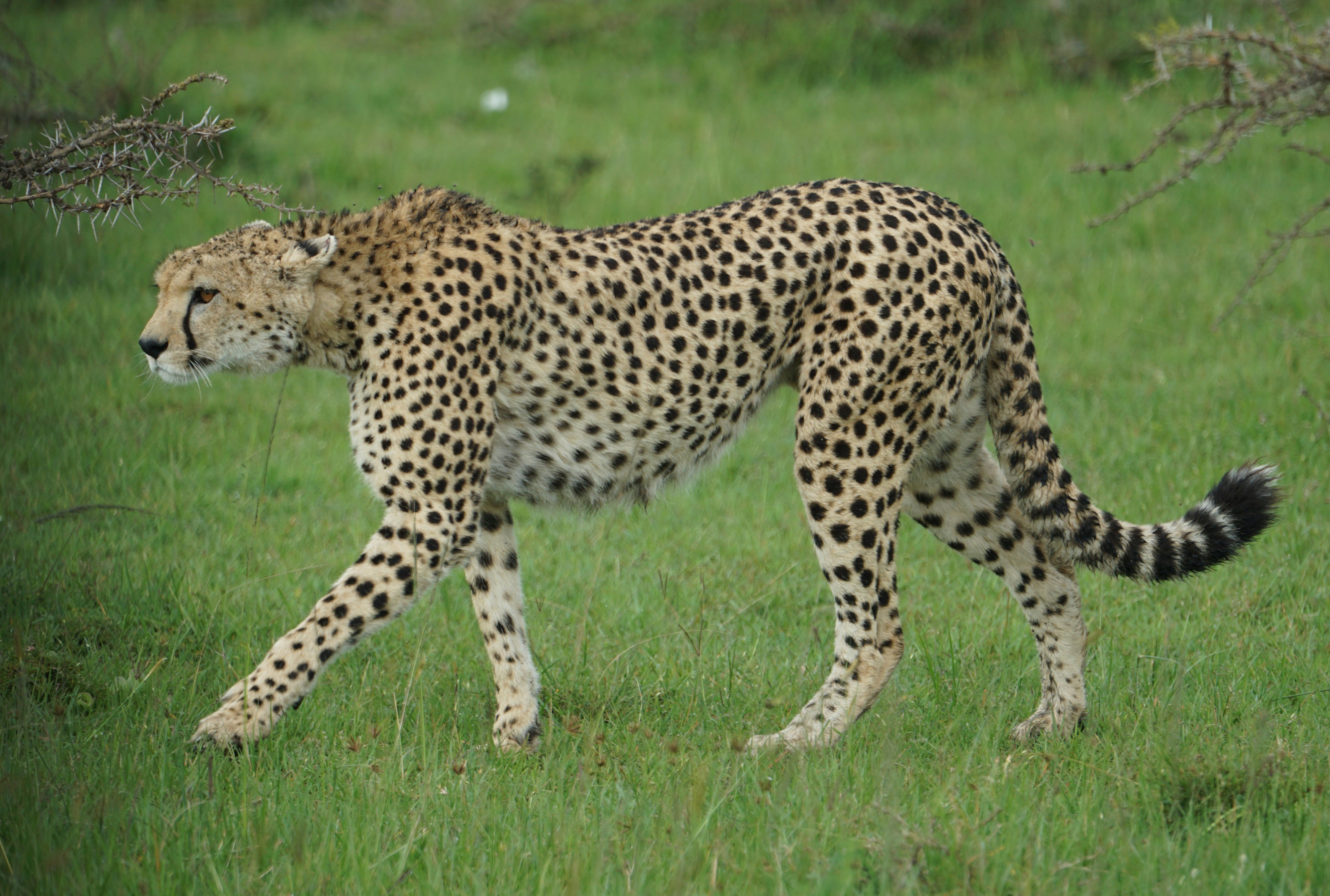 Photo by Gurth Bramall with Sony Alpha 6000