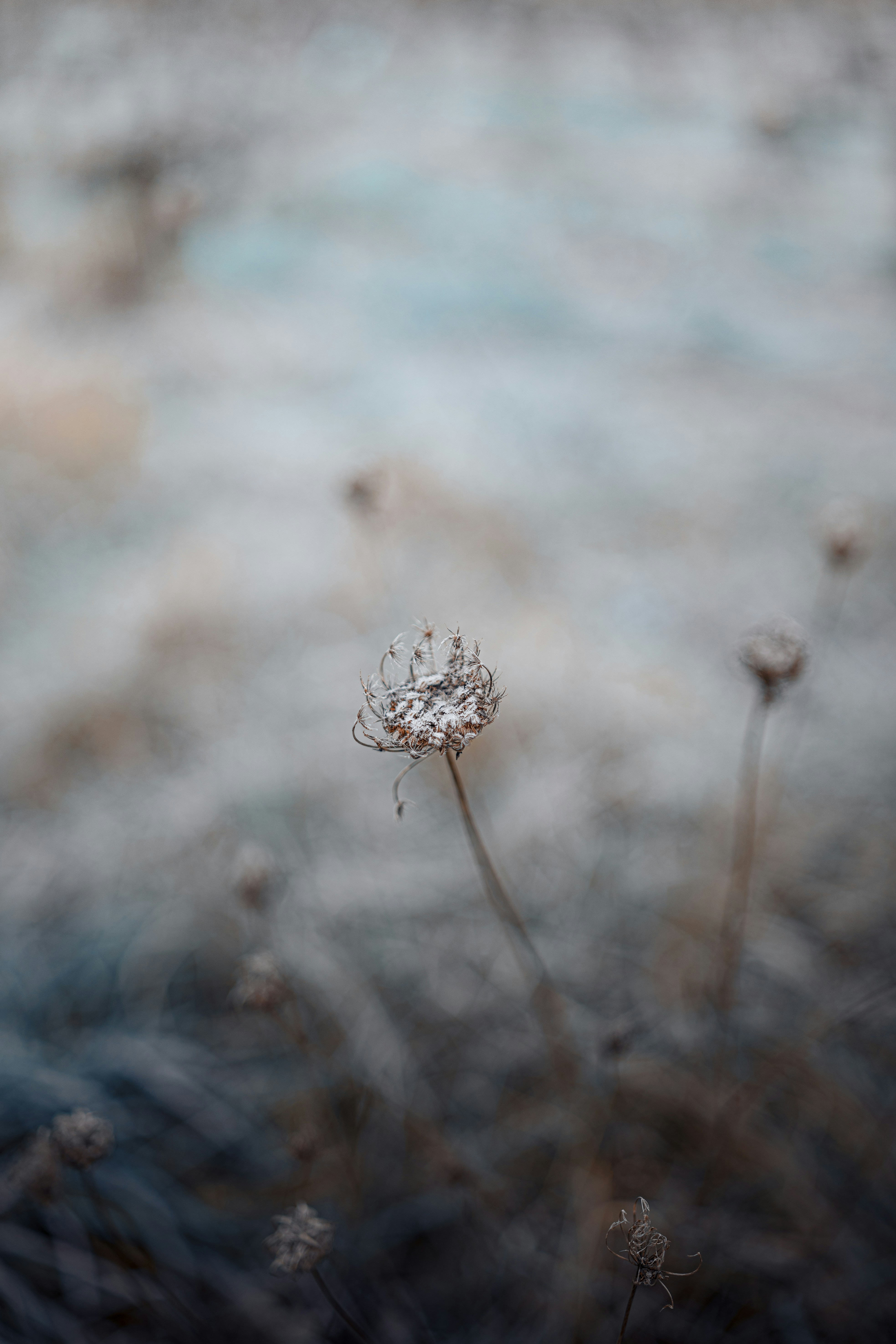 Photo by Martin Baron with Panasonic Lumix S5