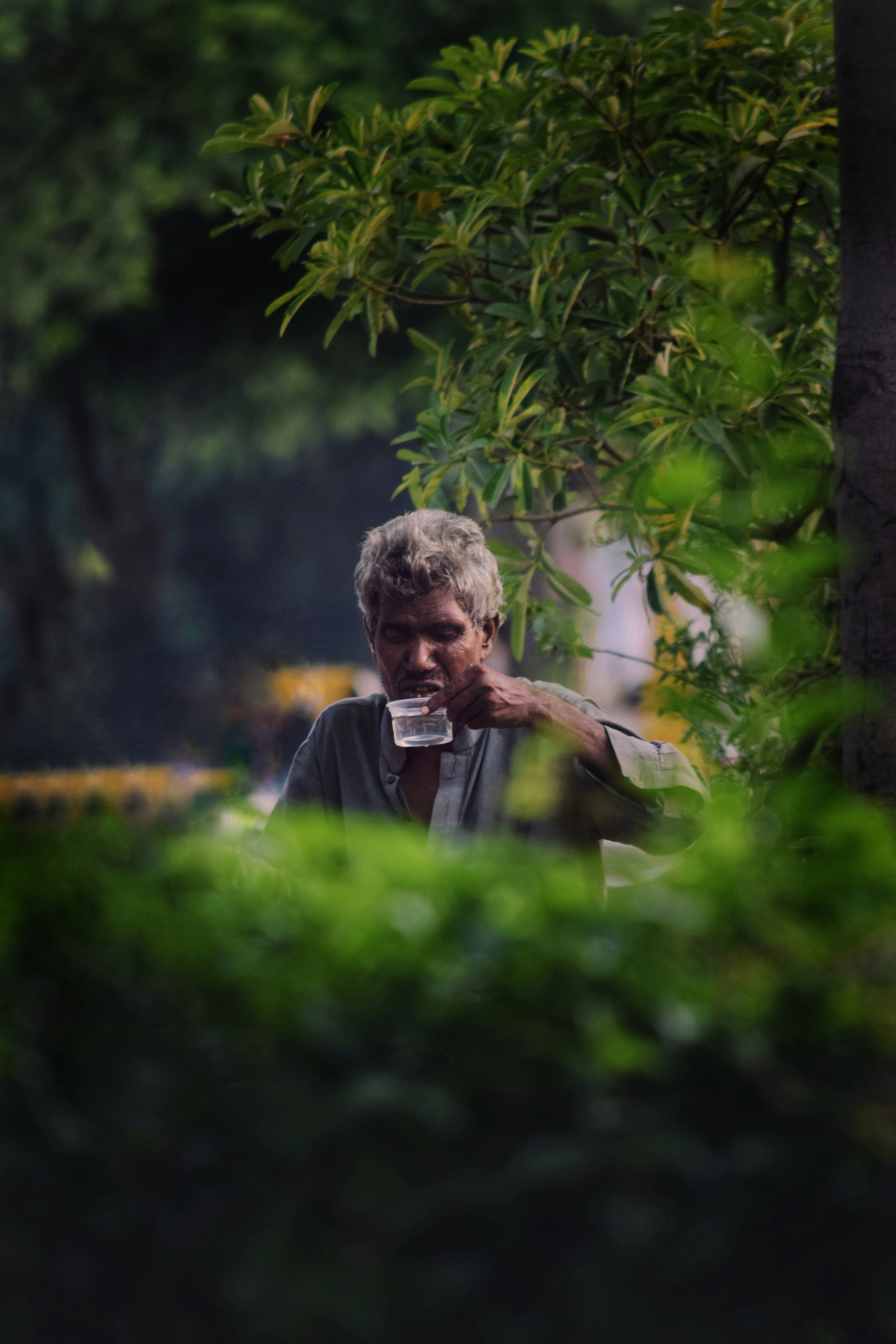 Quiet Sip, Green Frame: A Gardener's Pause in Dappled Light