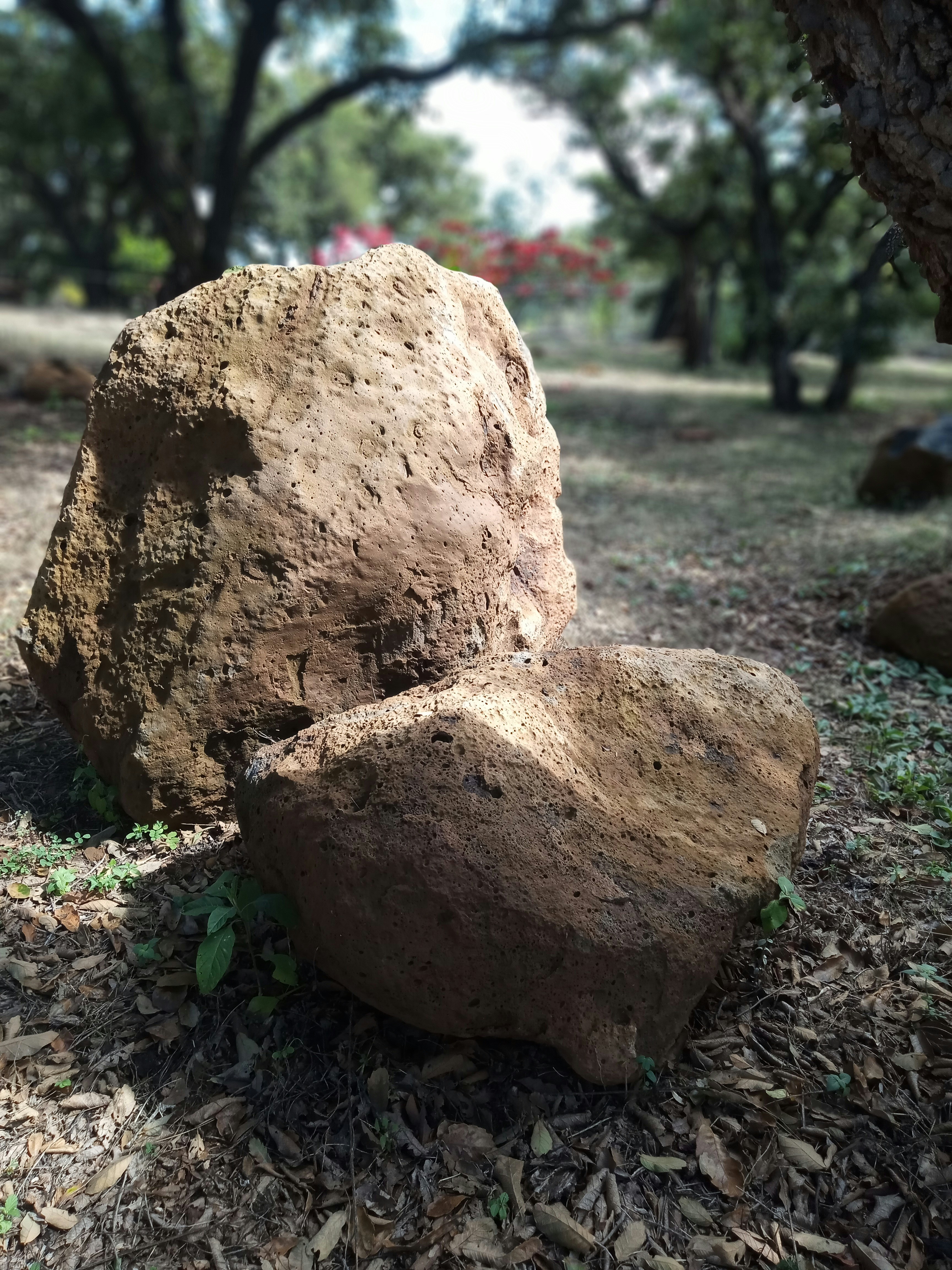 a large rock sitting in the middle of a forest