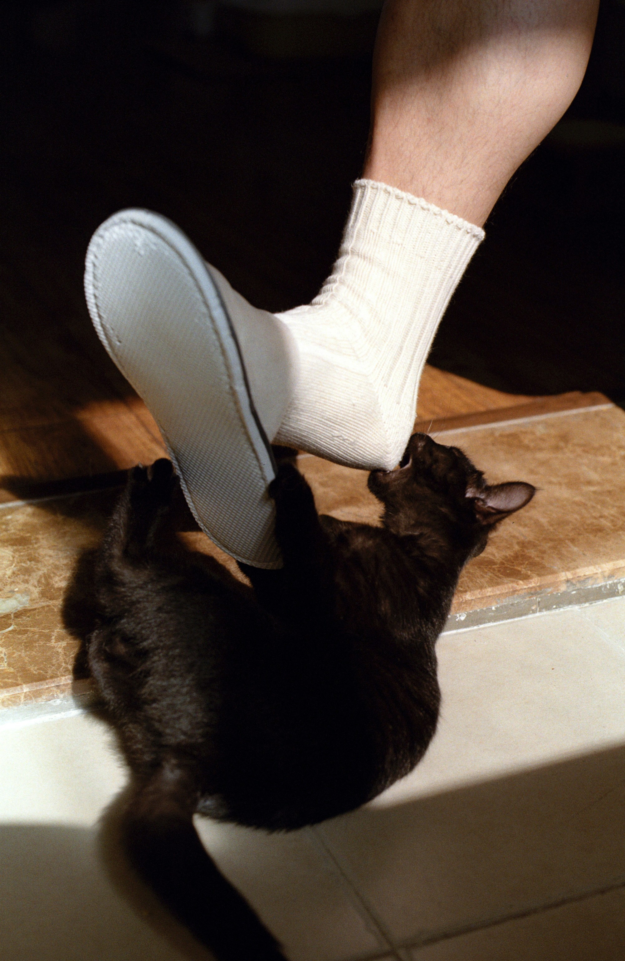 A white-socked foot presses against a small black cat on a tiled floor, captured in warm, directional lighting.