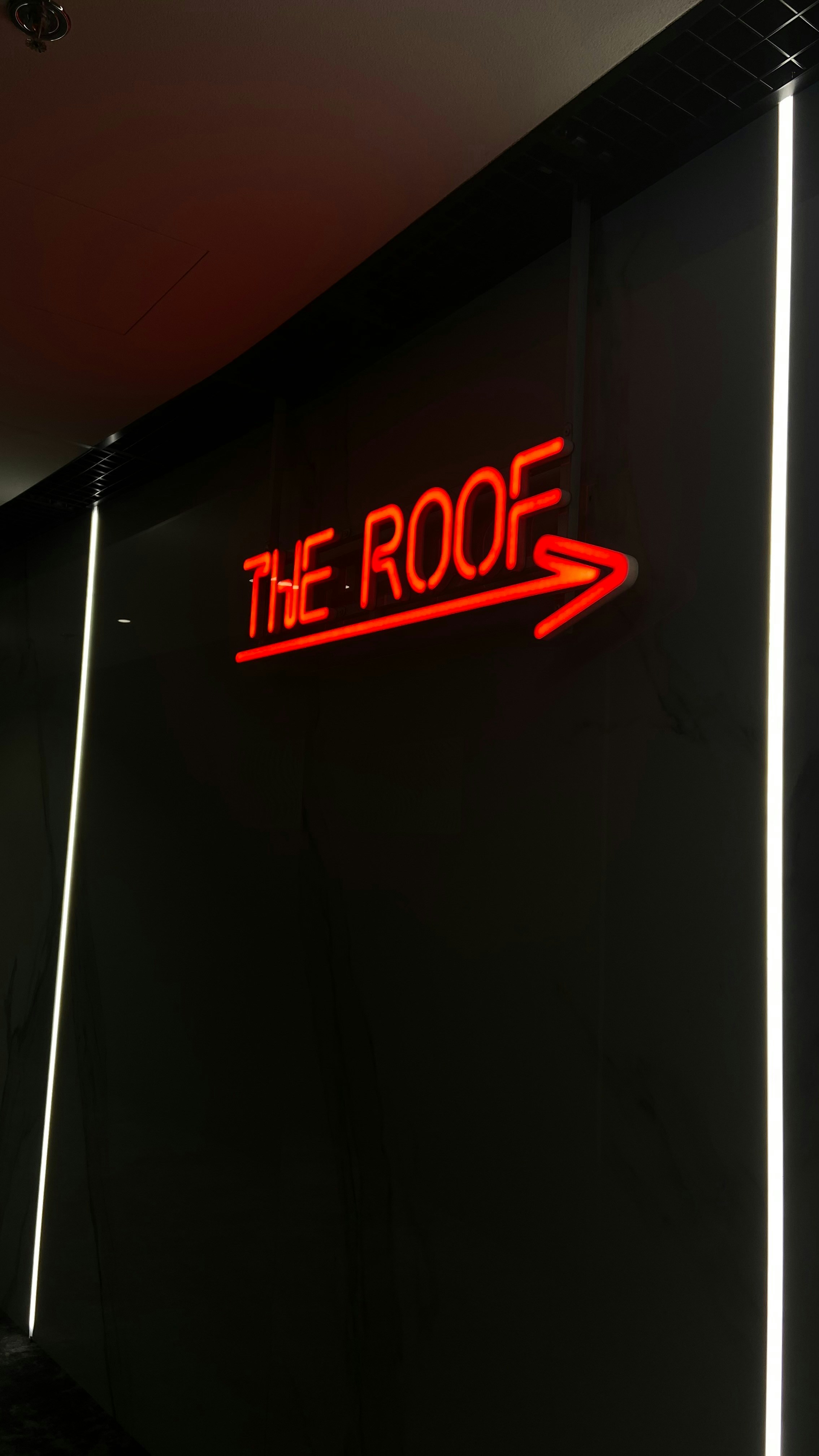 A neon sign that reads the roof on a black wall photo – Free Building ...