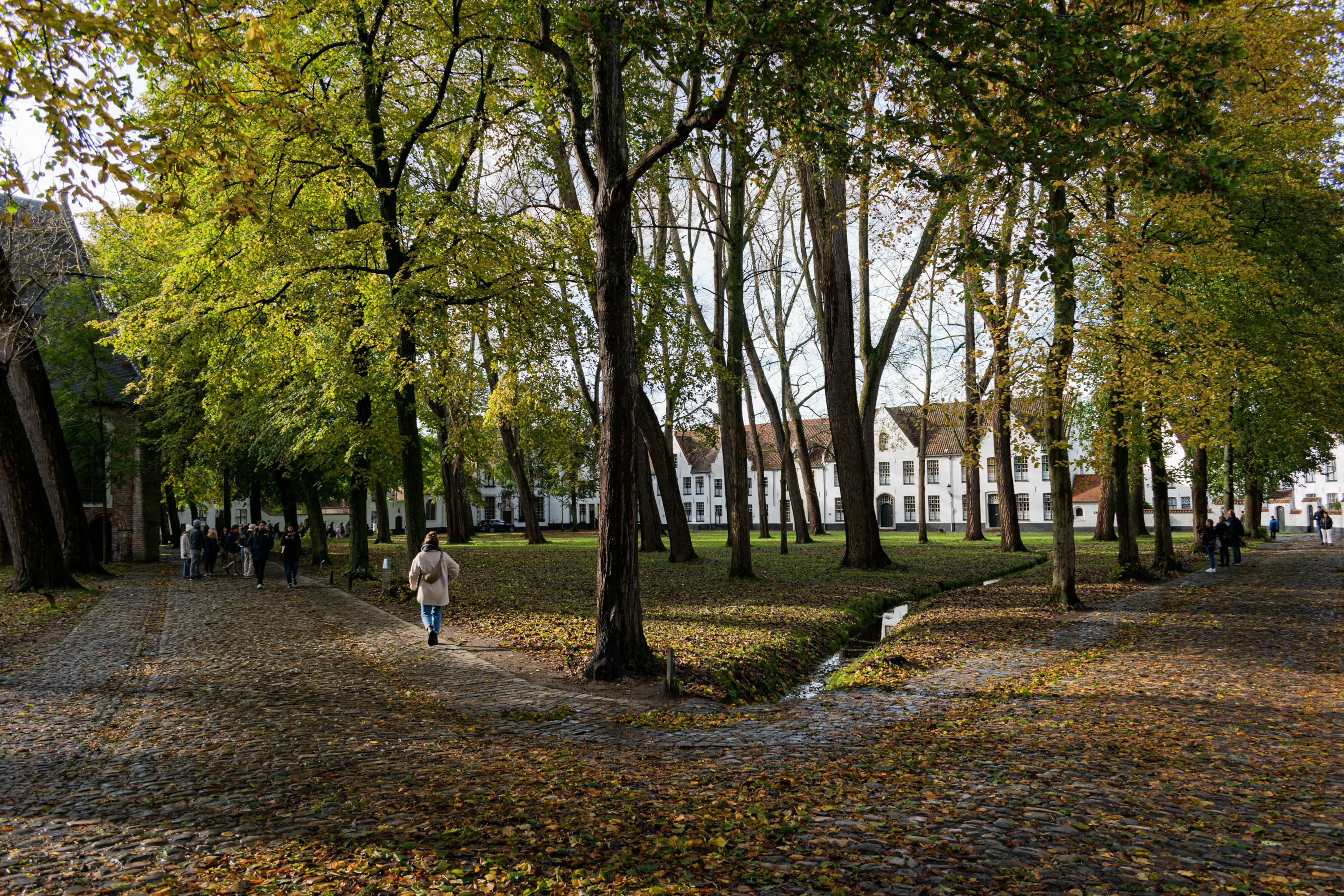 Photo by Javier Gómez with Nikon D3500