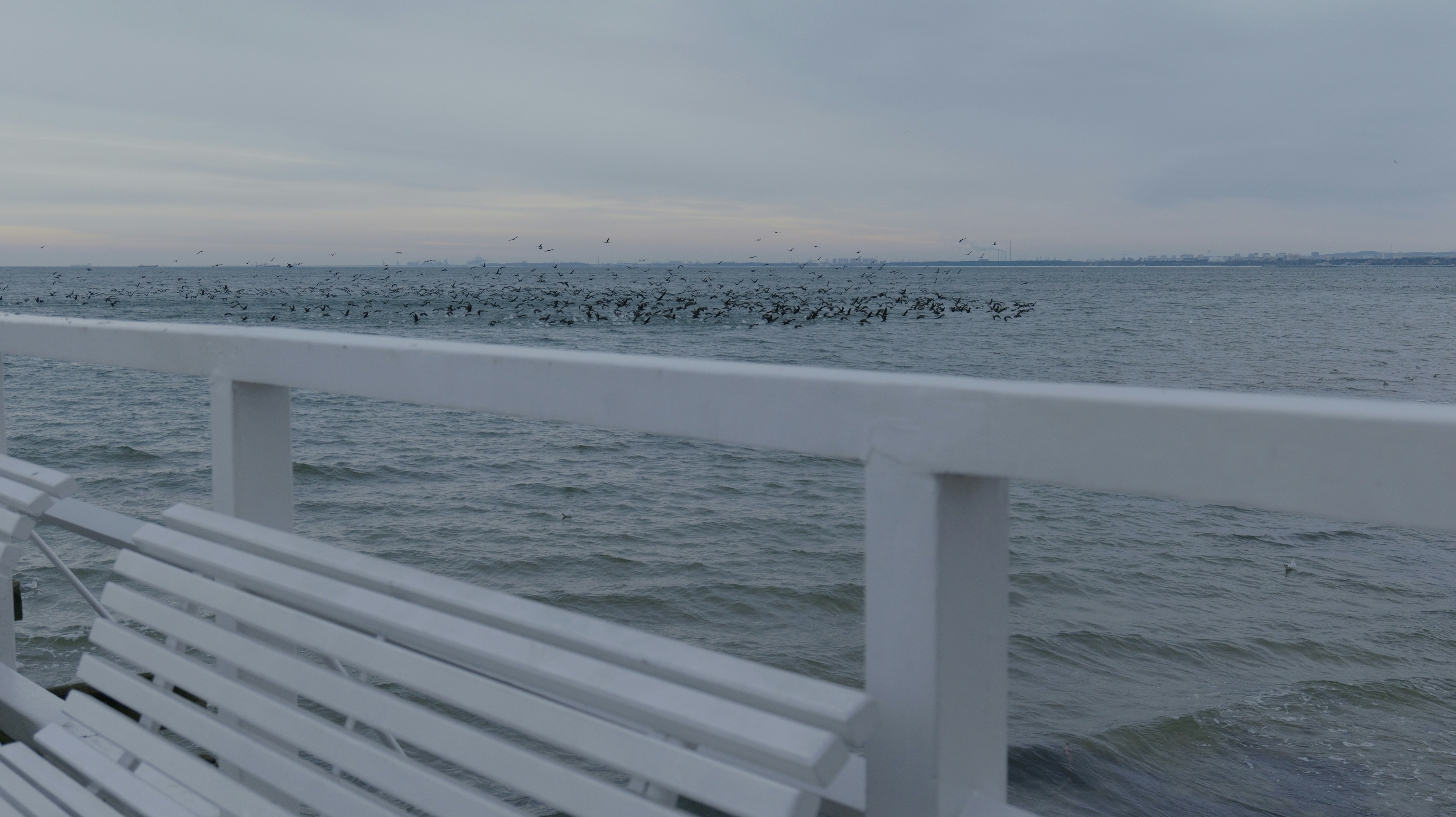 Pastel Quiet: A White Pier Bench Framing the Sea