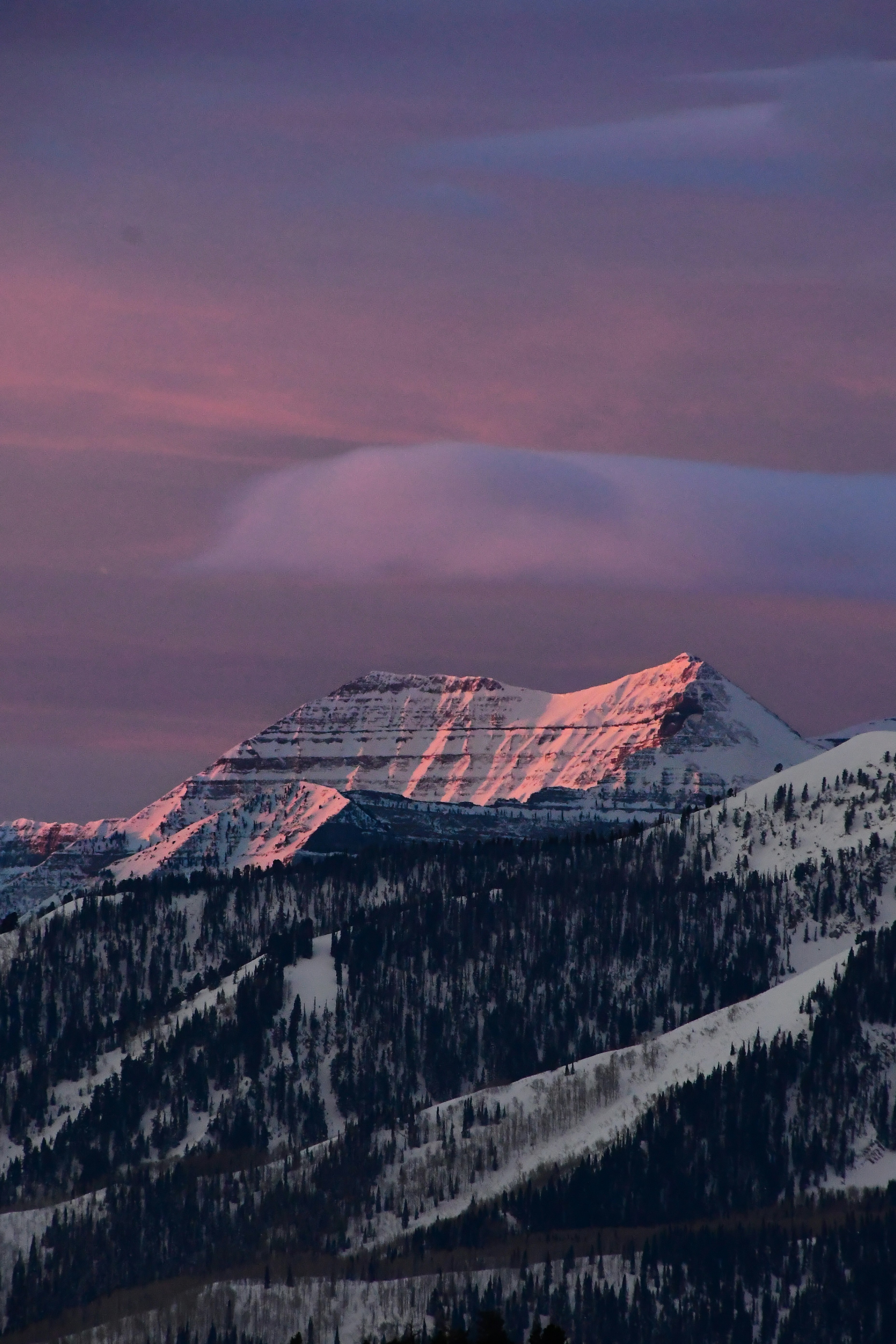 Pink Mountains Pictures | Download Free Images on Unsplash