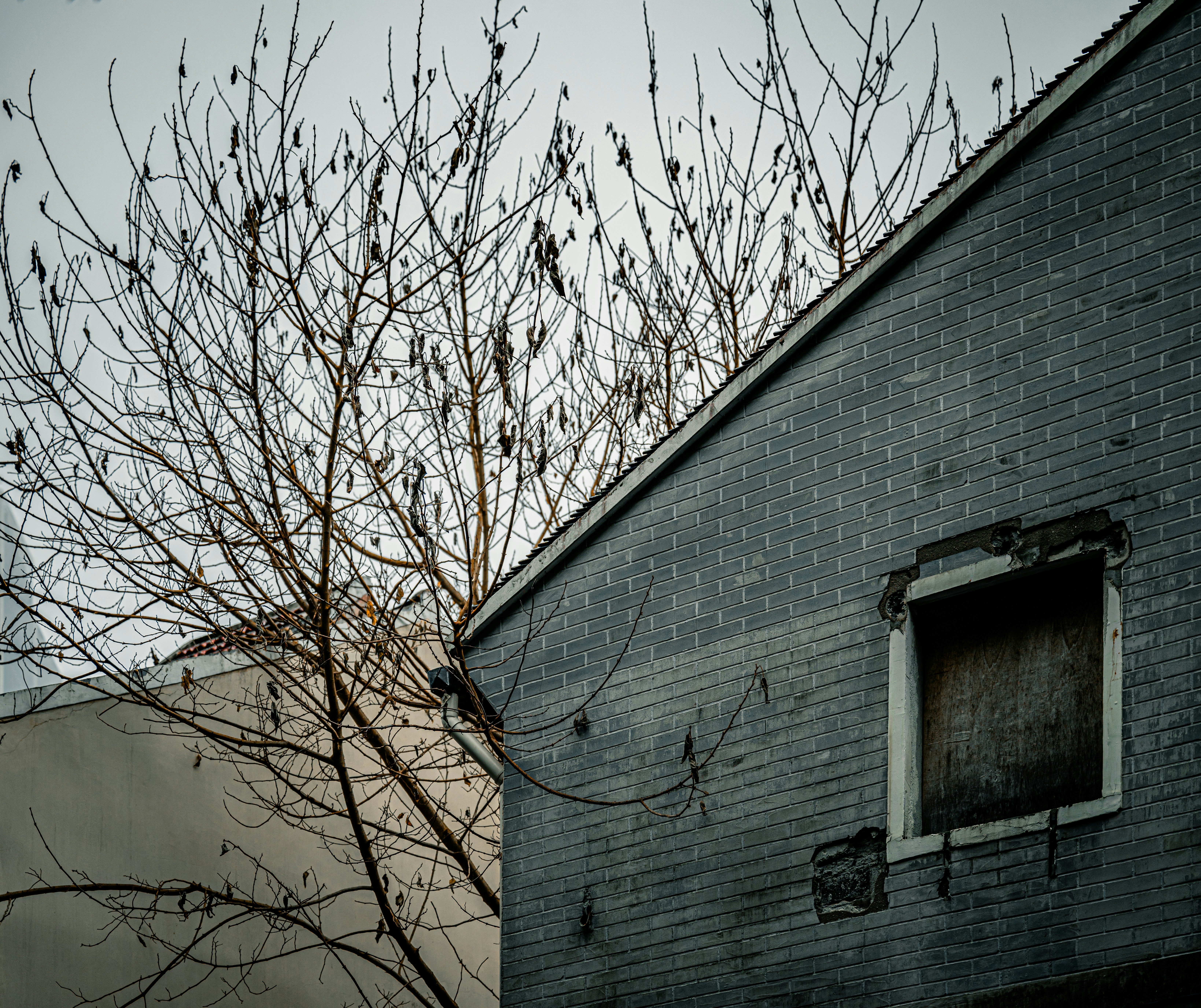 Boarded Window on a Weathered Brick Facade Framed by Leafless Branches