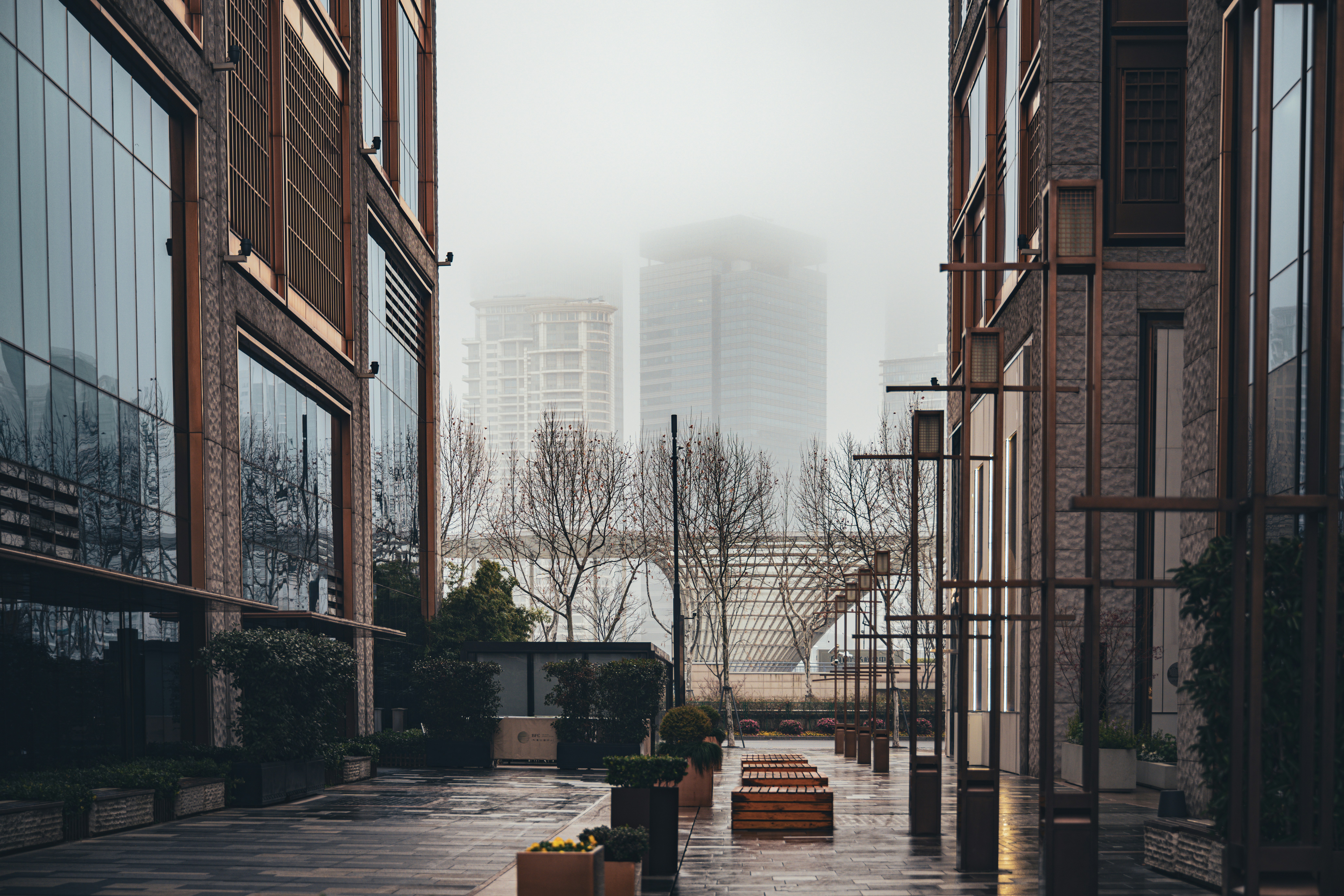 Mist-Hung Corridor: Toward Fog-Wrapped Towers