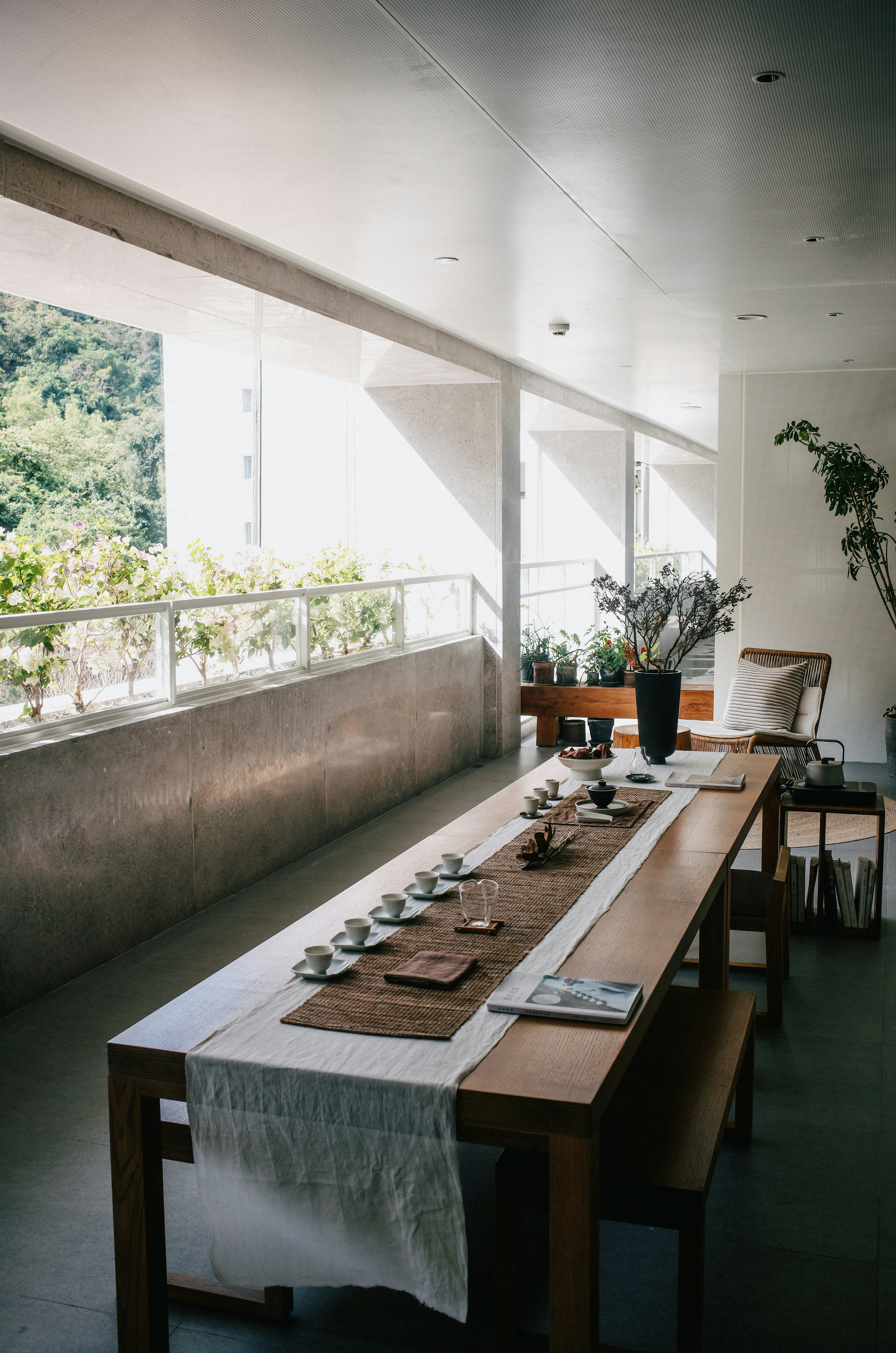 Minimalist dining tableau bathed in natural light