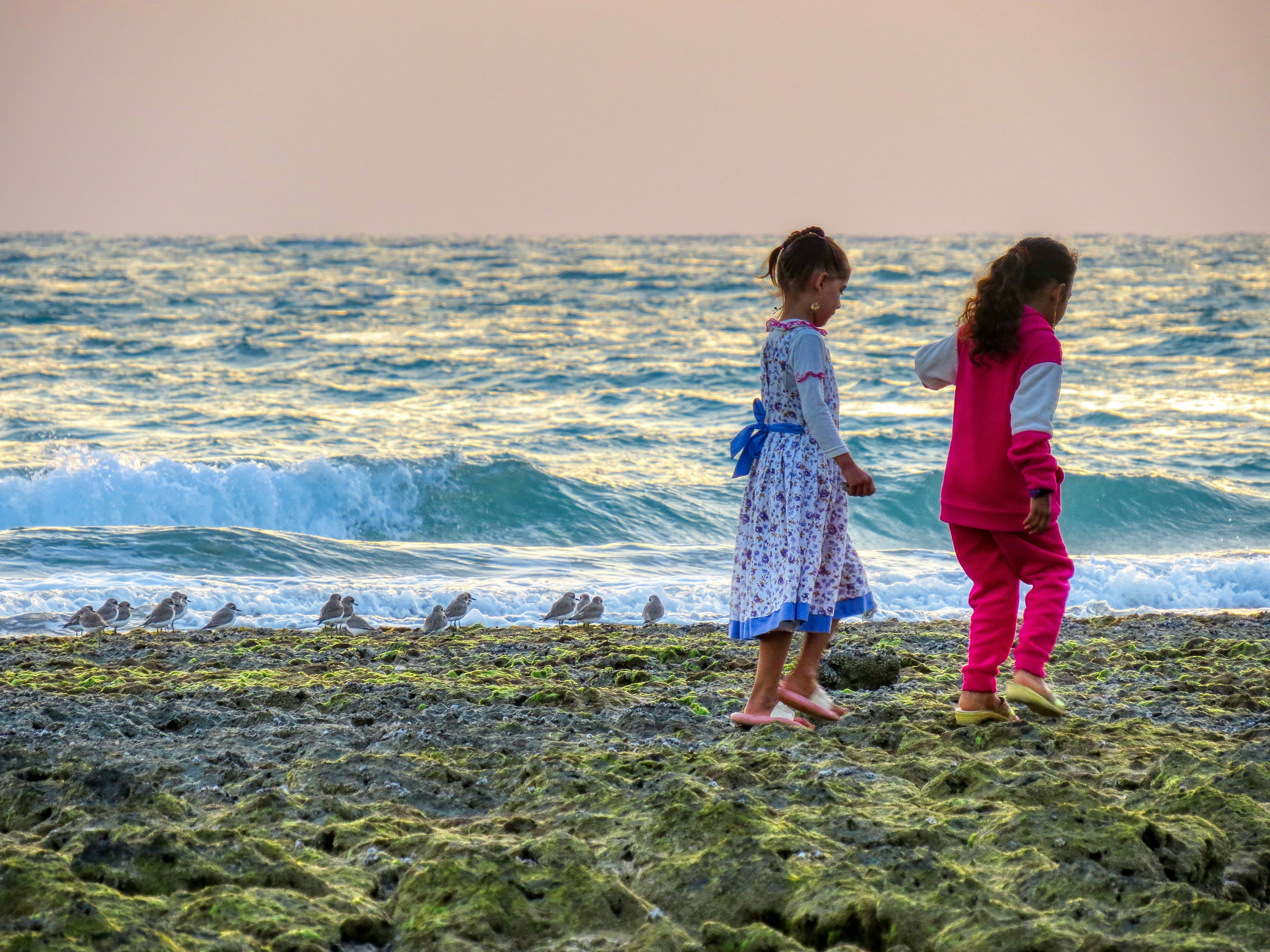 Two Girls on a Mossy Shore as Waves Whisper In