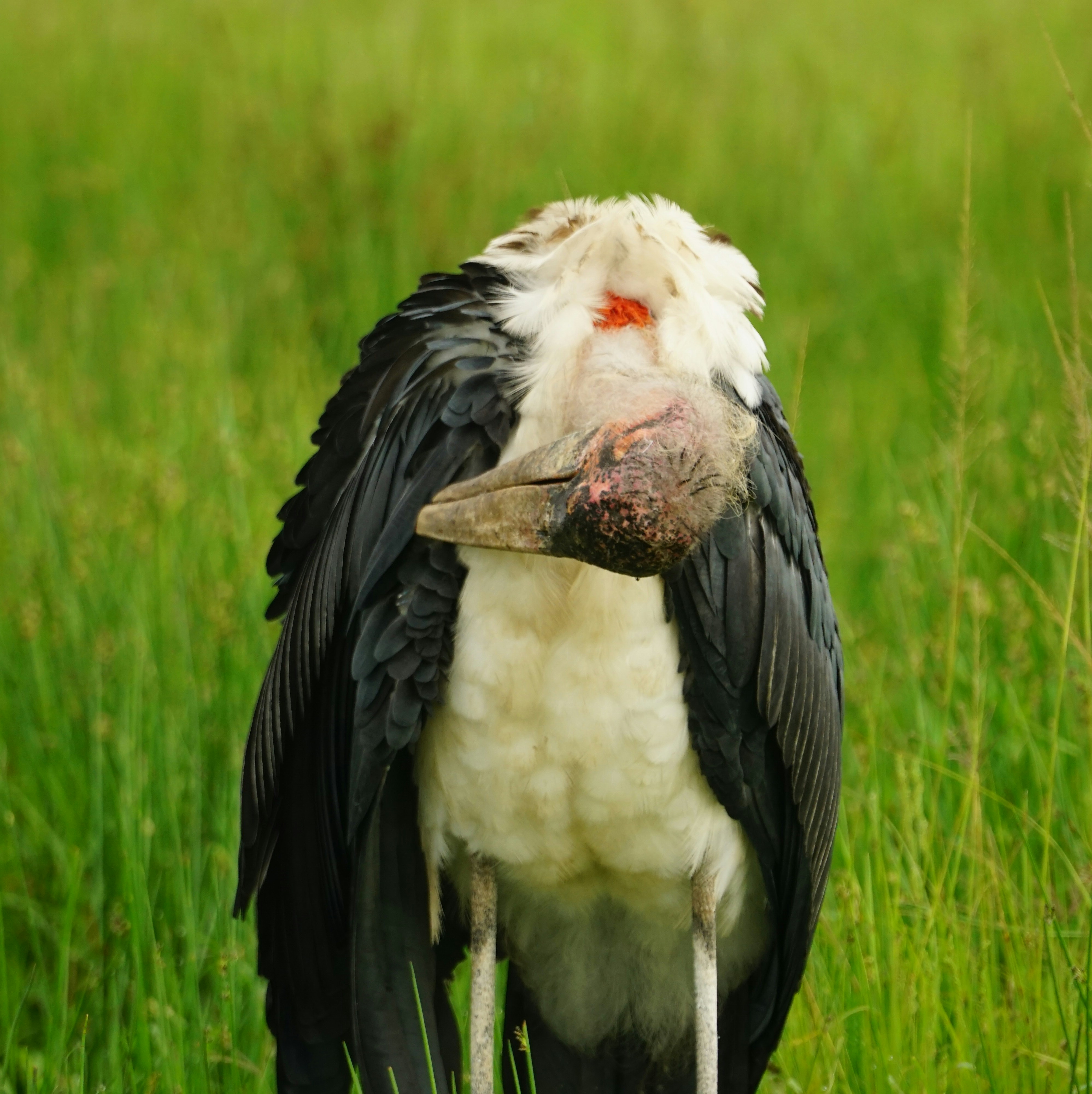 Photo by Gurth Bramall with Sony Alpha 6000