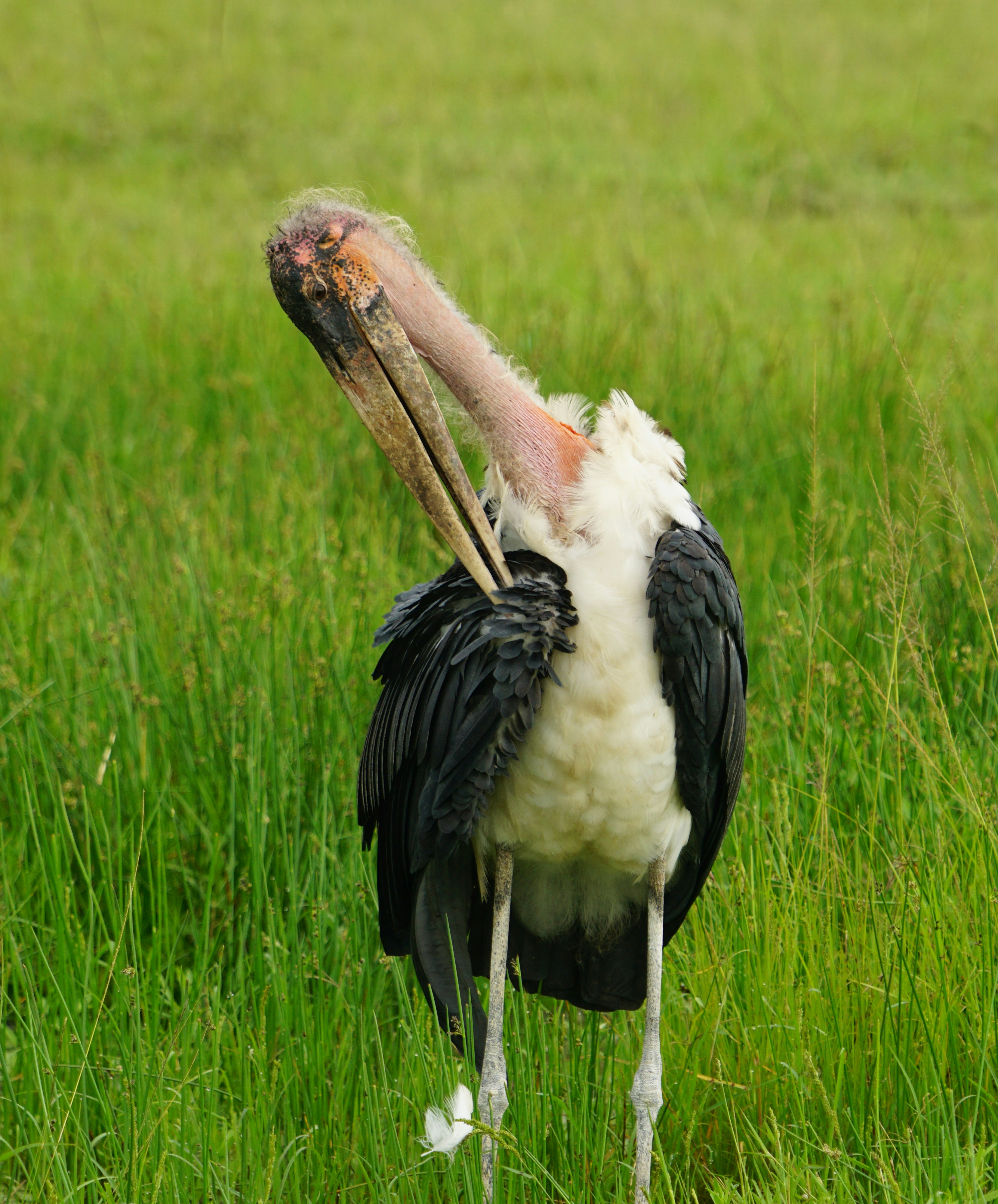 Photo by Gurth Bramall with Sony Alpha 6000