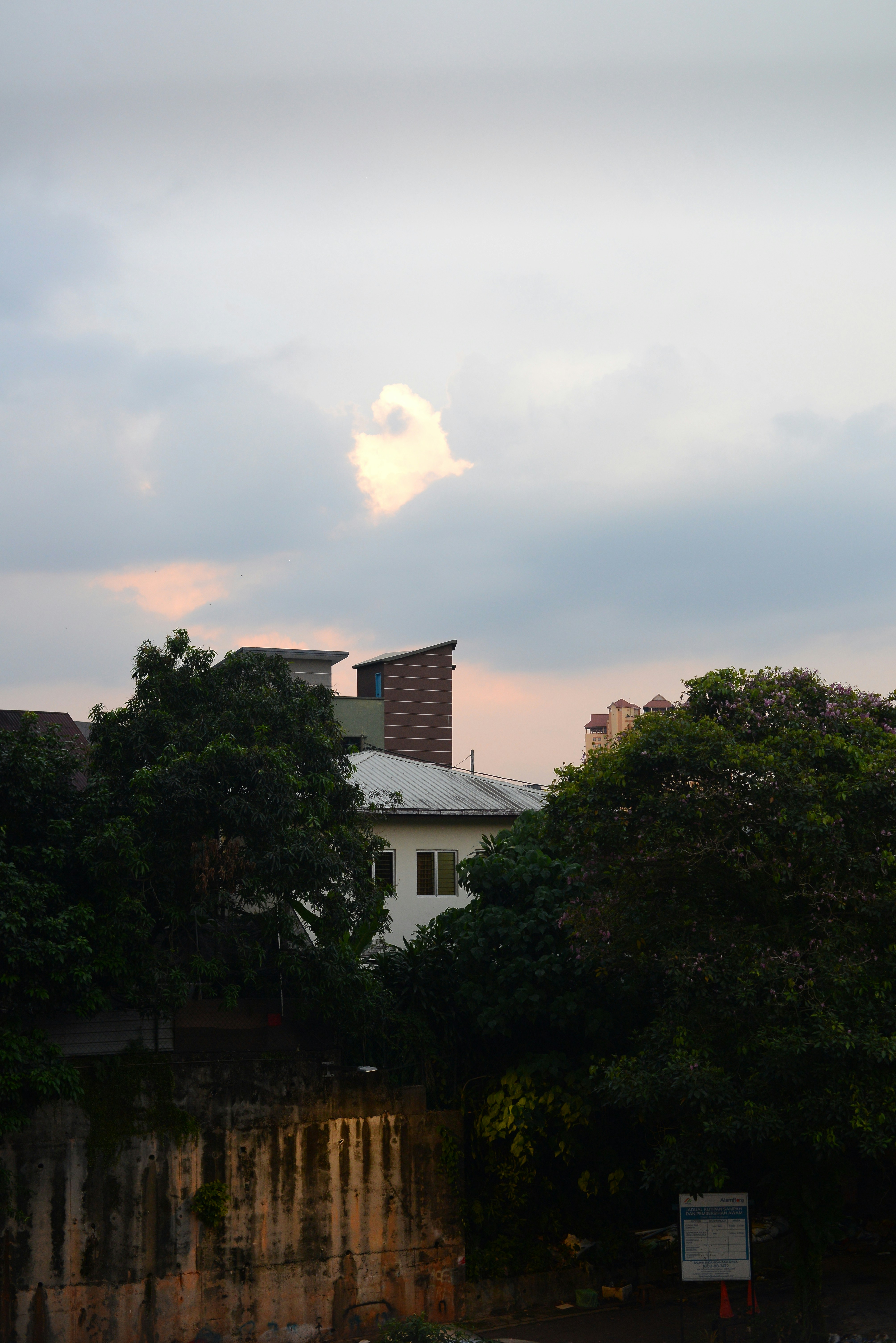 Sunlit Cloud Above a Green City Canopy at Dusk