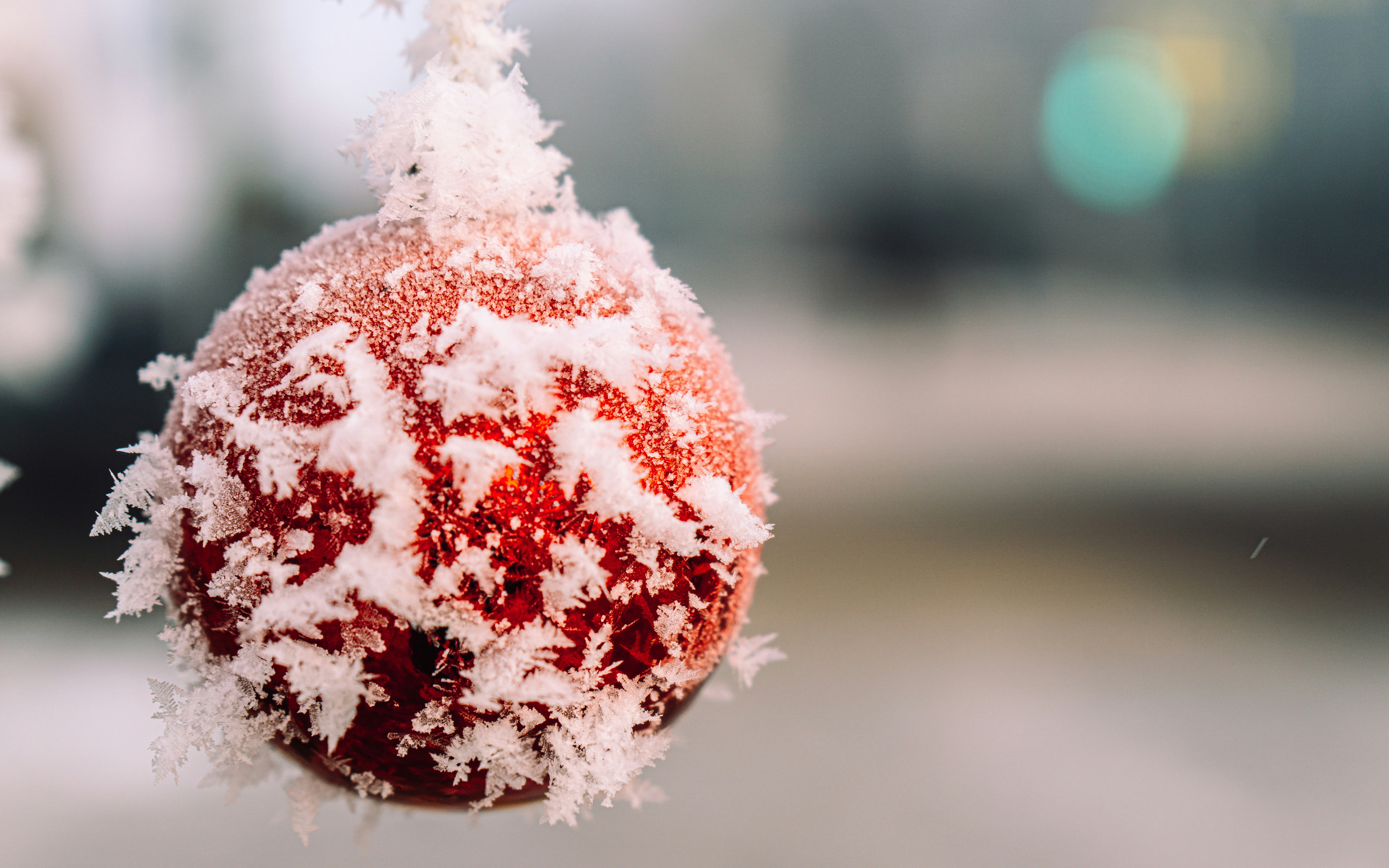 Frosted Cherry: A Close-Up of Winter's Delicate Red Fruit