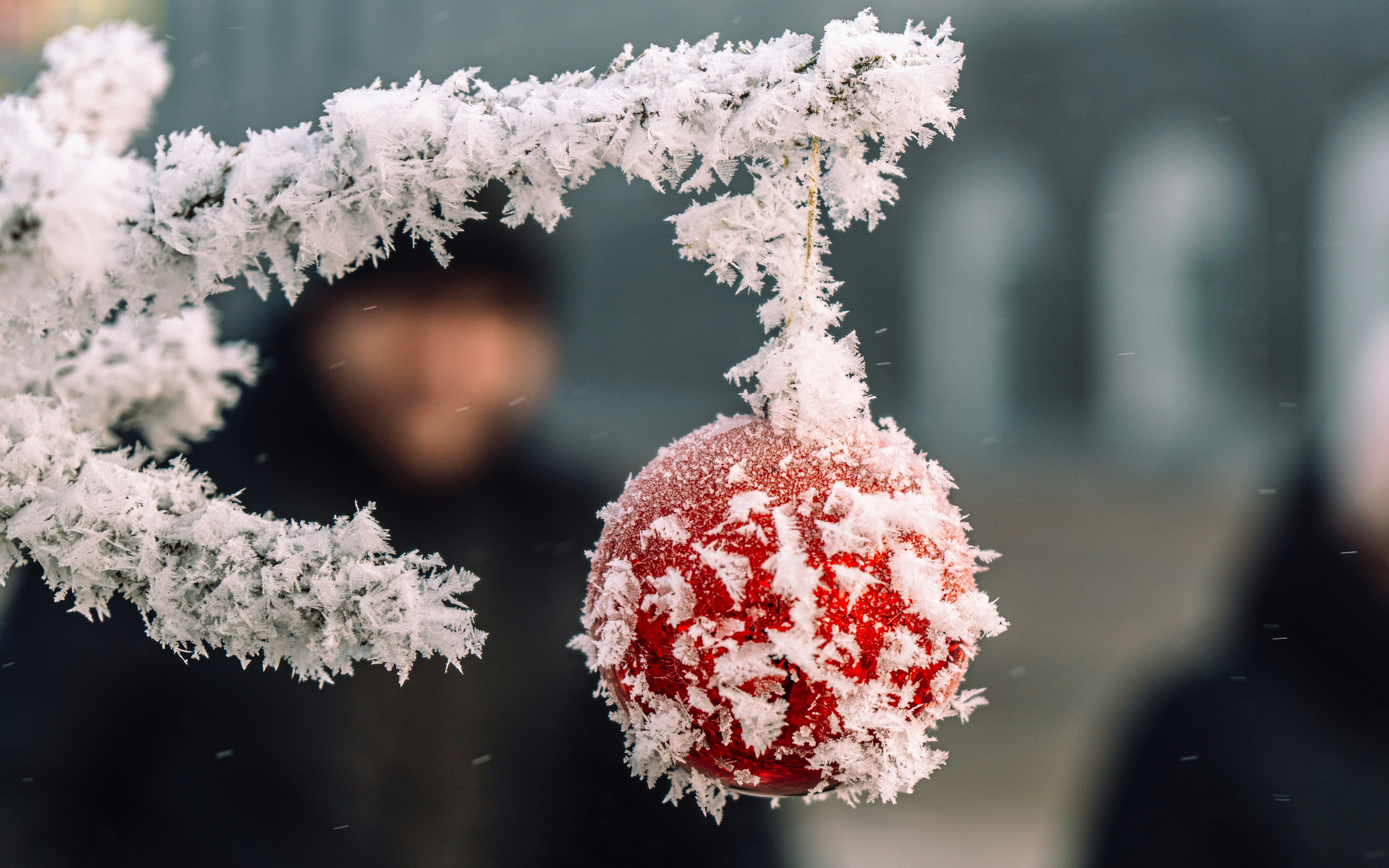 Frosted Red: A Frost-kissed Fruit Pendant in Winter Silence