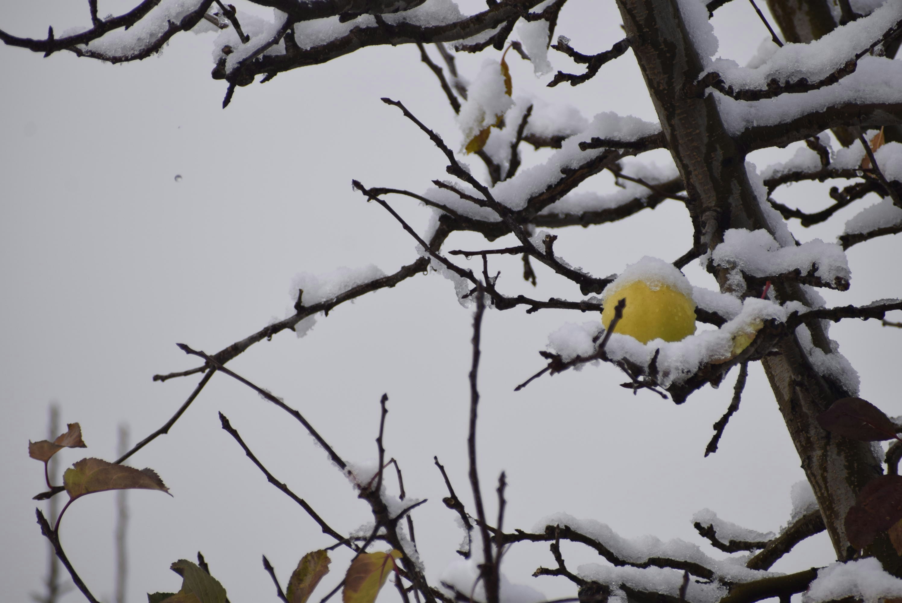 Photo by Alberto Macchi with Nikon D5300