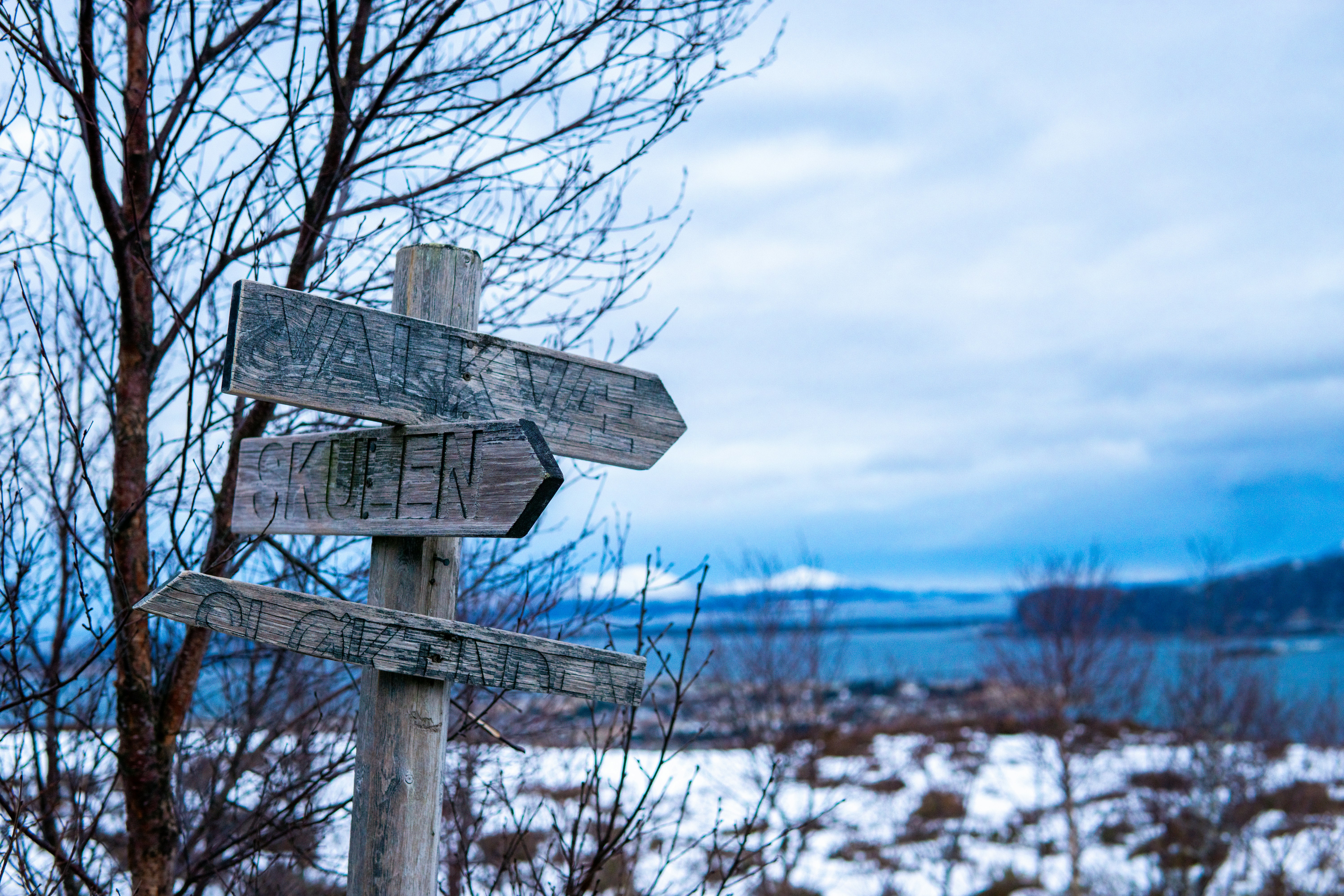 A wooden sign pointing in different directions photo – Free Norway ...