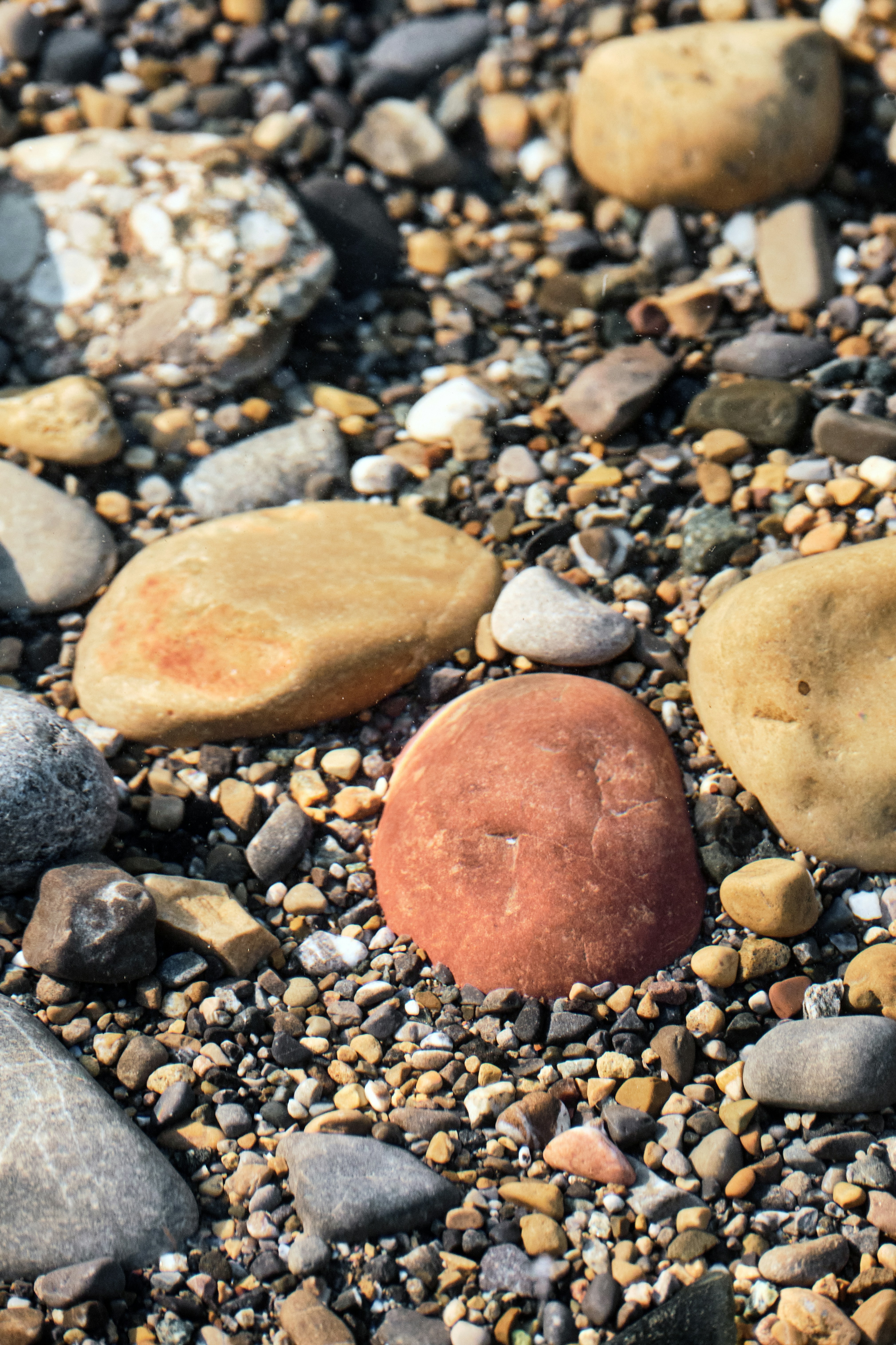 Crimson Centerstone: A Quiet Mosaic of Beach Pebbles