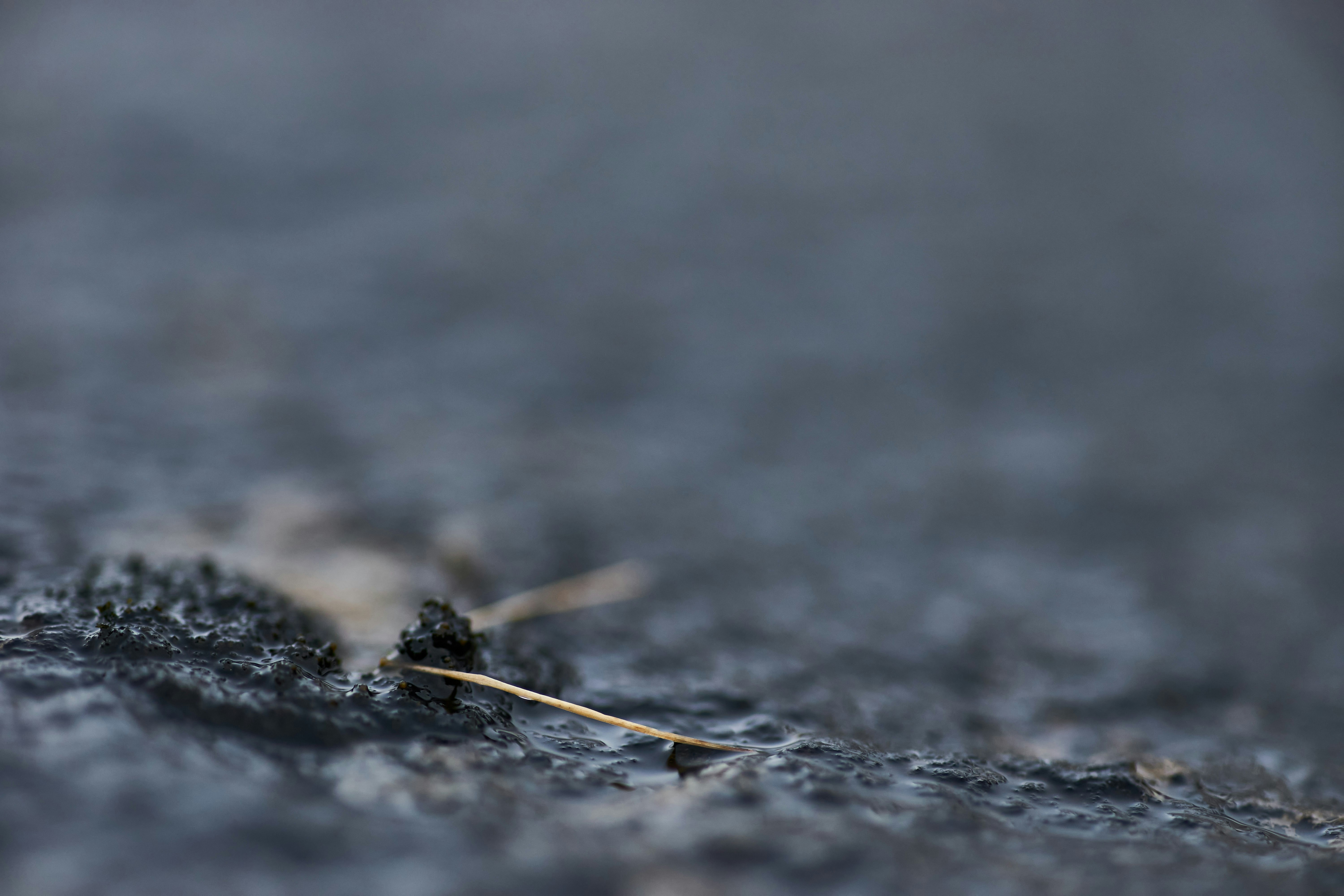 A close up of a black substance on a surface photo – Free Tar Image on ...