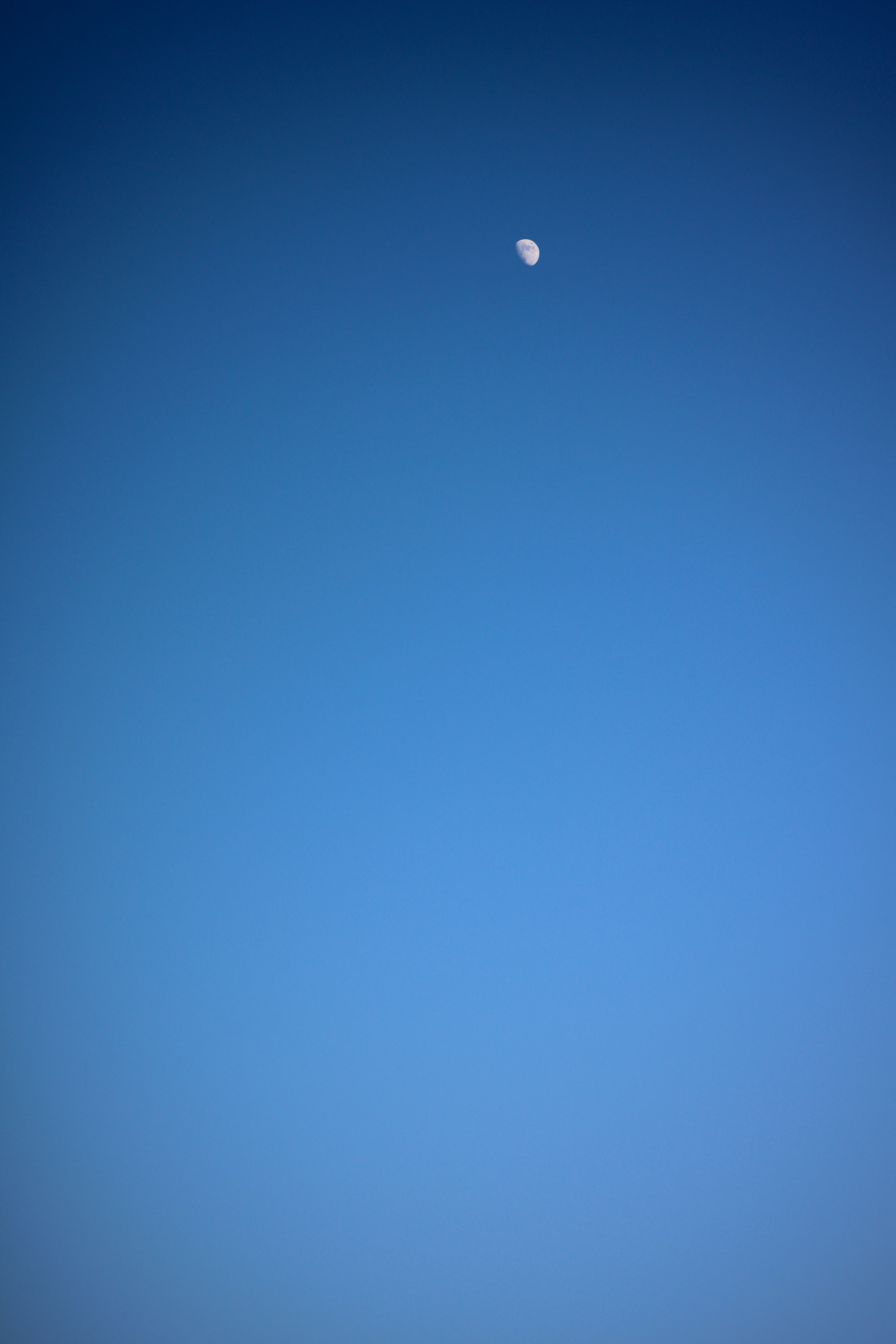 A clear blue sky with a half moon in the distance photo – Free Blue ...