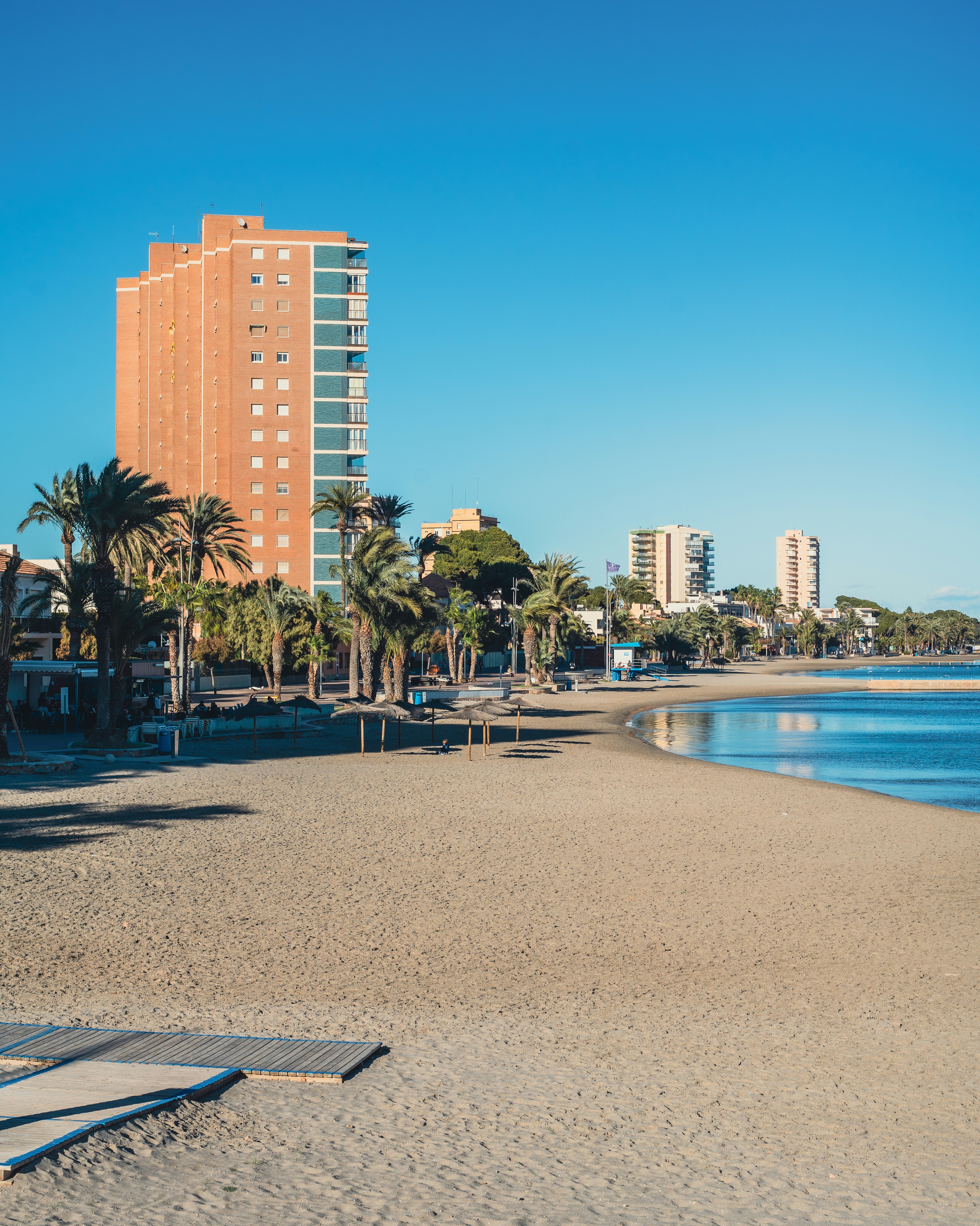 A tranquil beach scene featuring a curved shoreline lined with palm trees and modern buildings, under a clear blue sky. The warm sand invites relaxation.