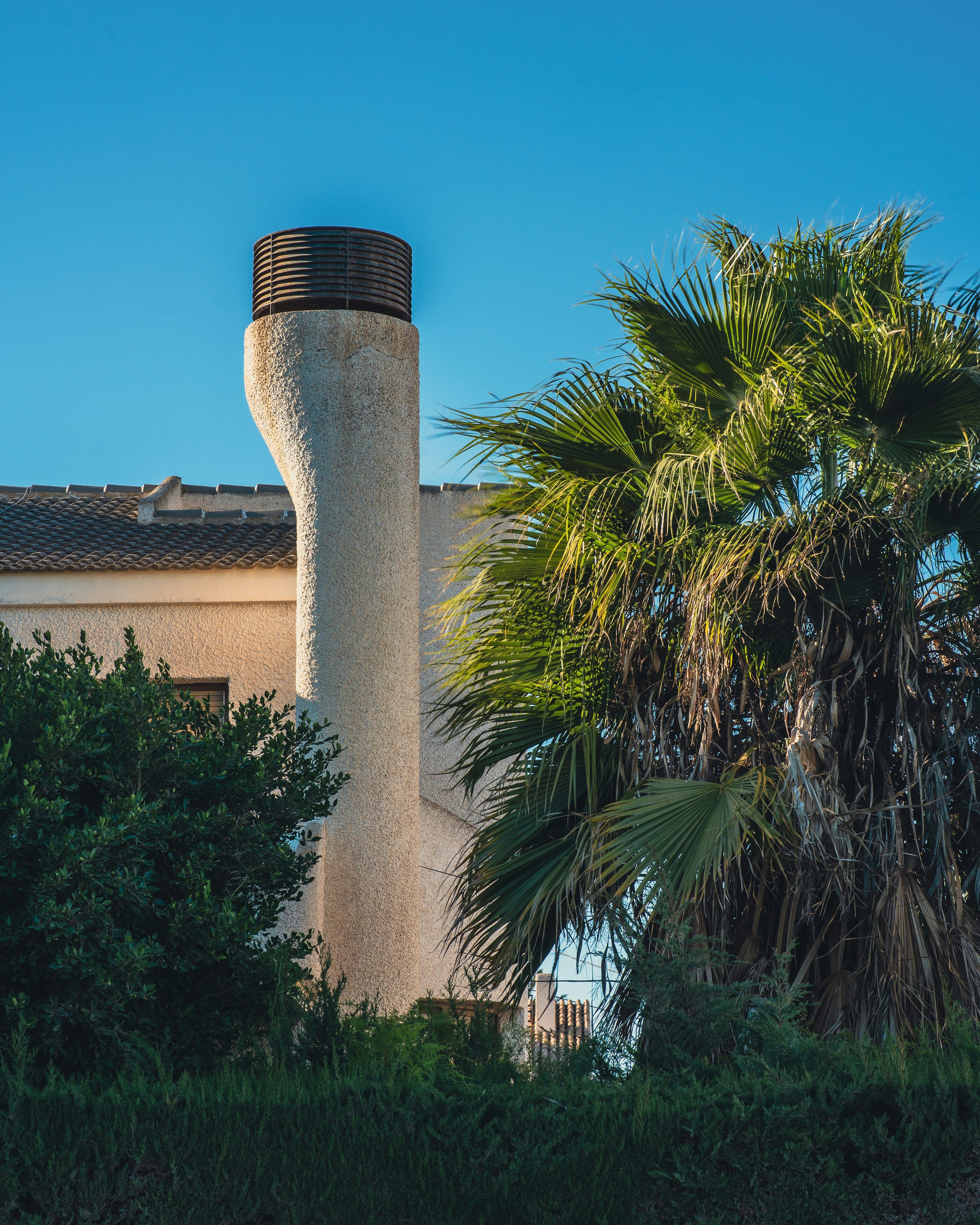Chimney Sentinel: Palm Fronds Frame a Sunlit House Under a Clear Sky