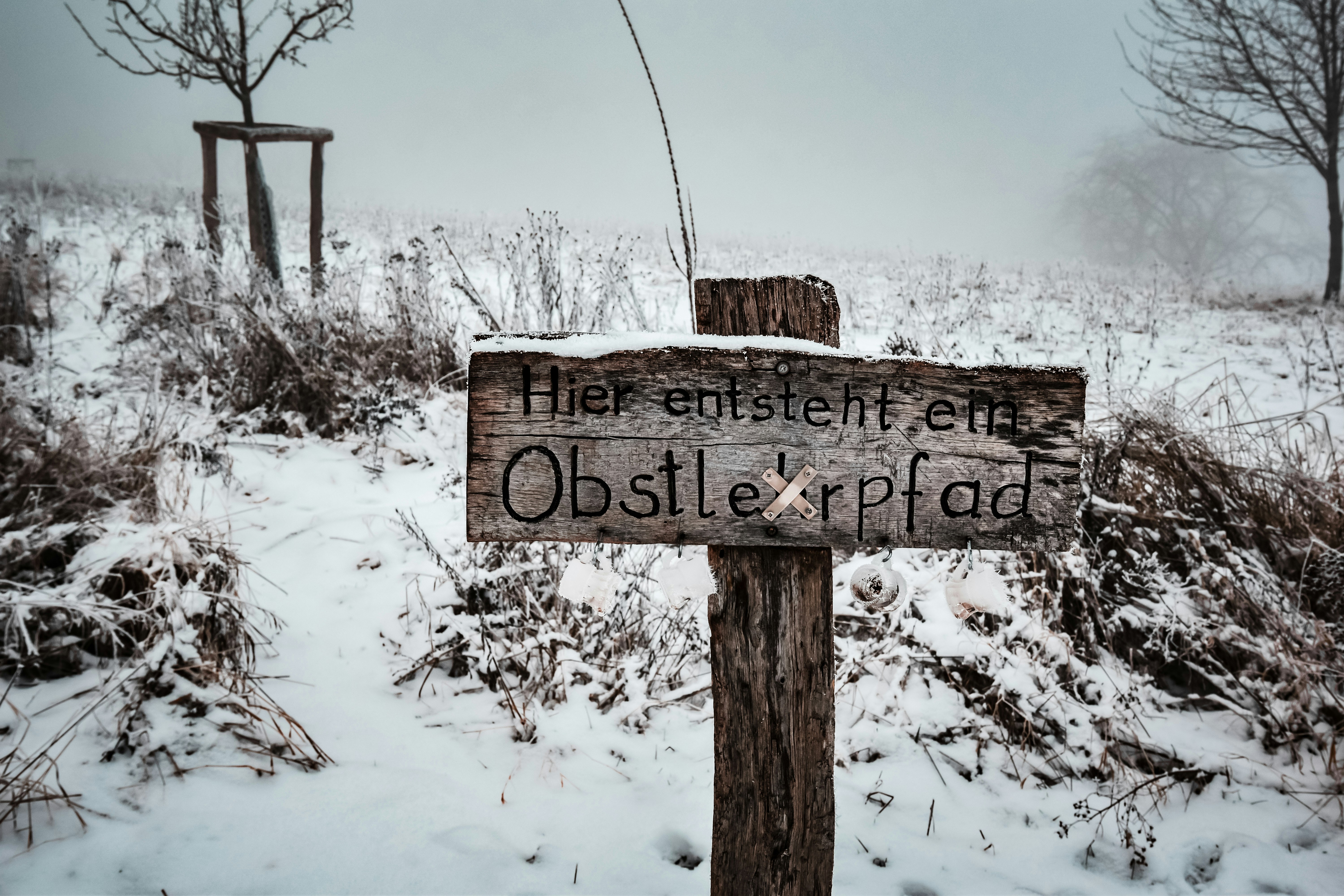 Weathered Signpost in a Snowbound Field
