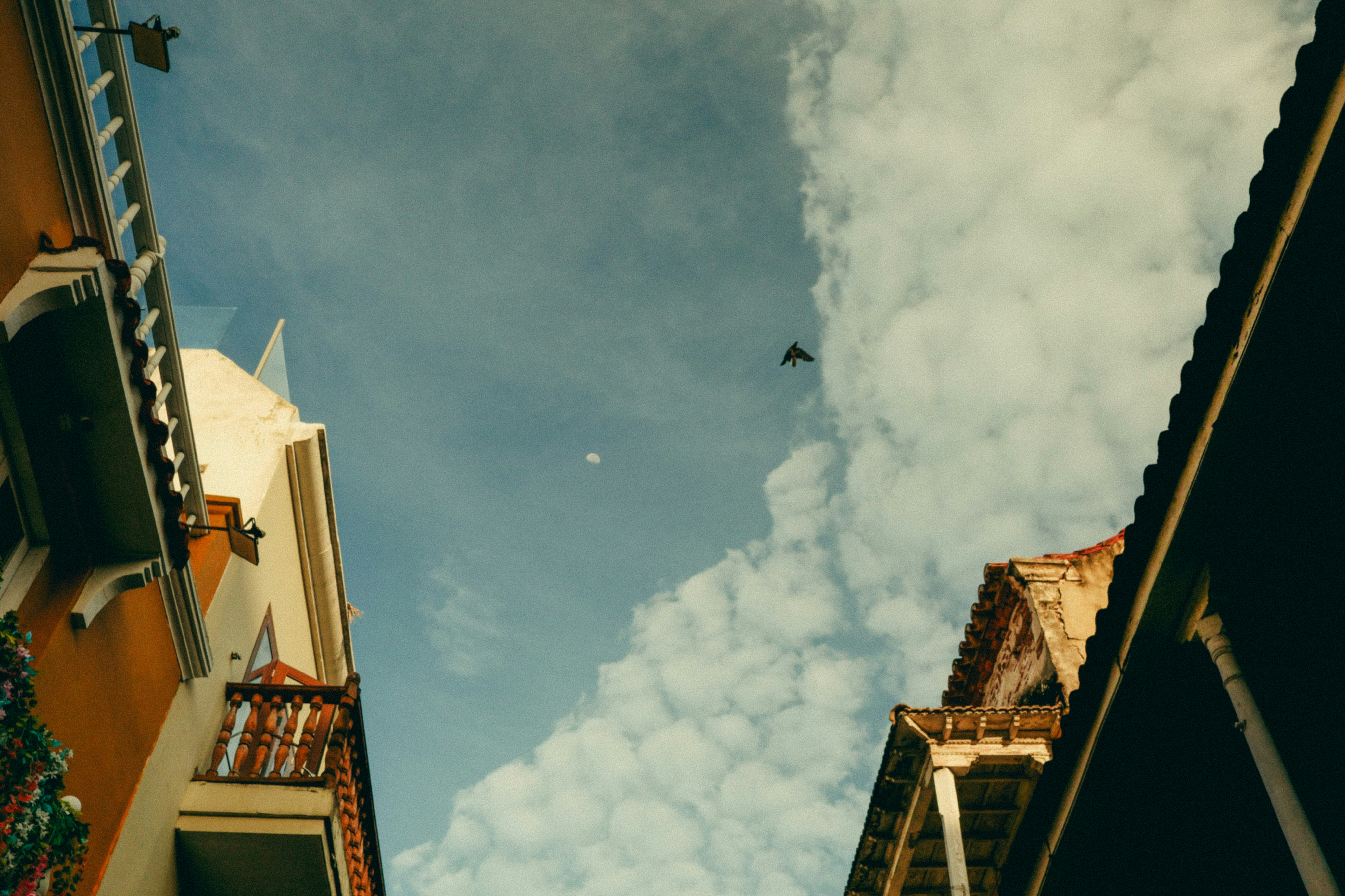View of the sky framed by building rooftops with scattered clouds and a bird in flight.