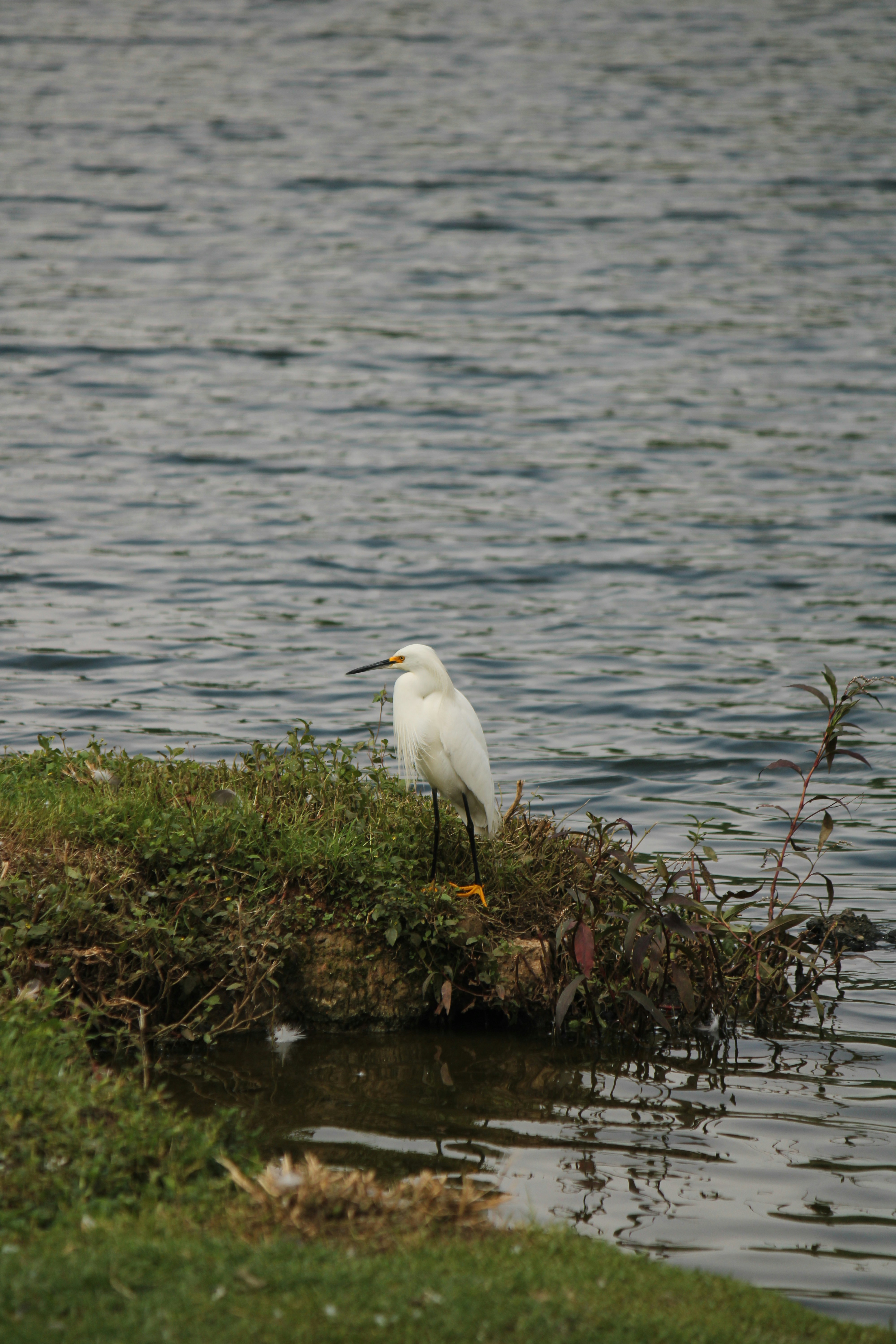 Elegance by the Water's Edge
