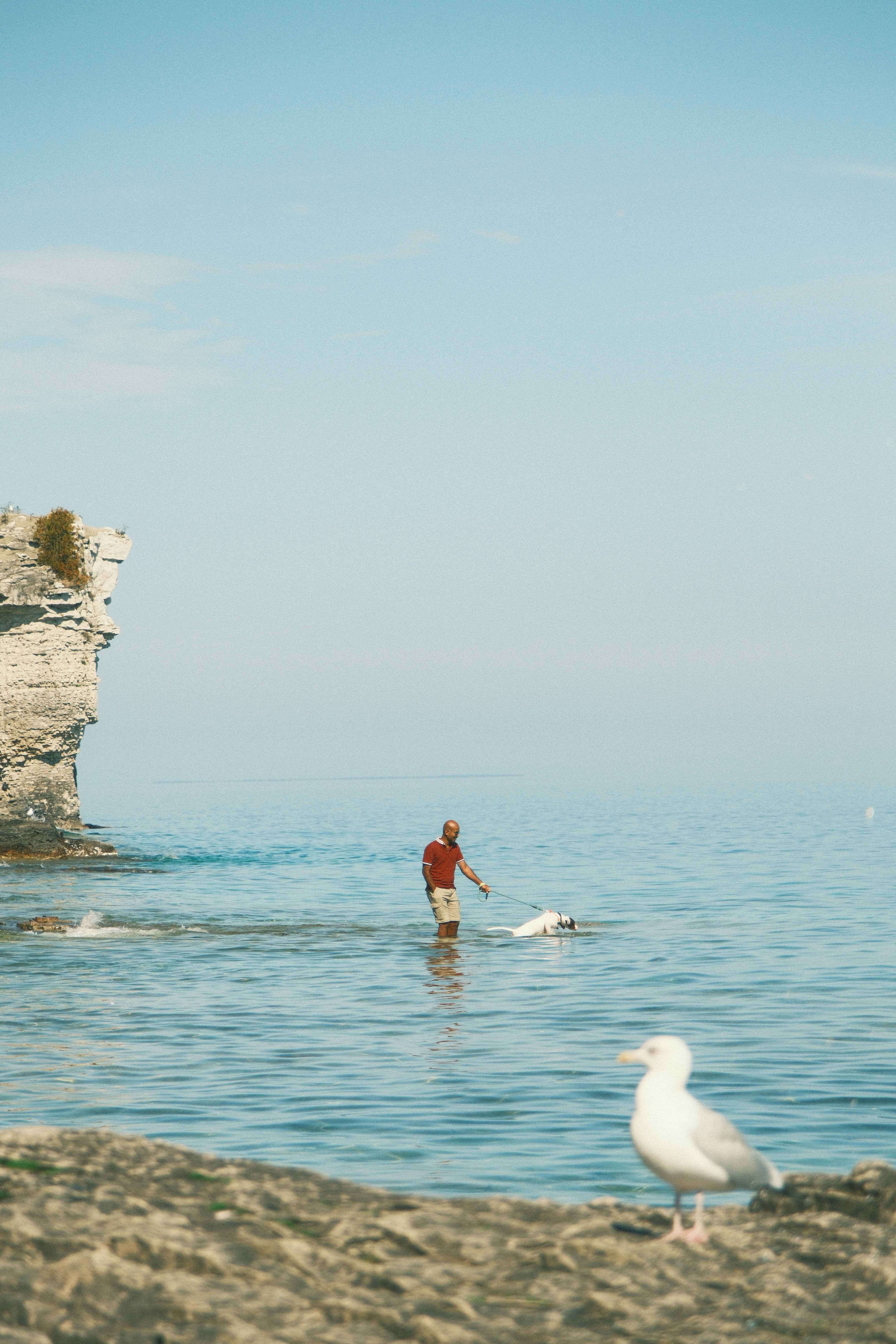Lone Angler Amid a Serene Seascape