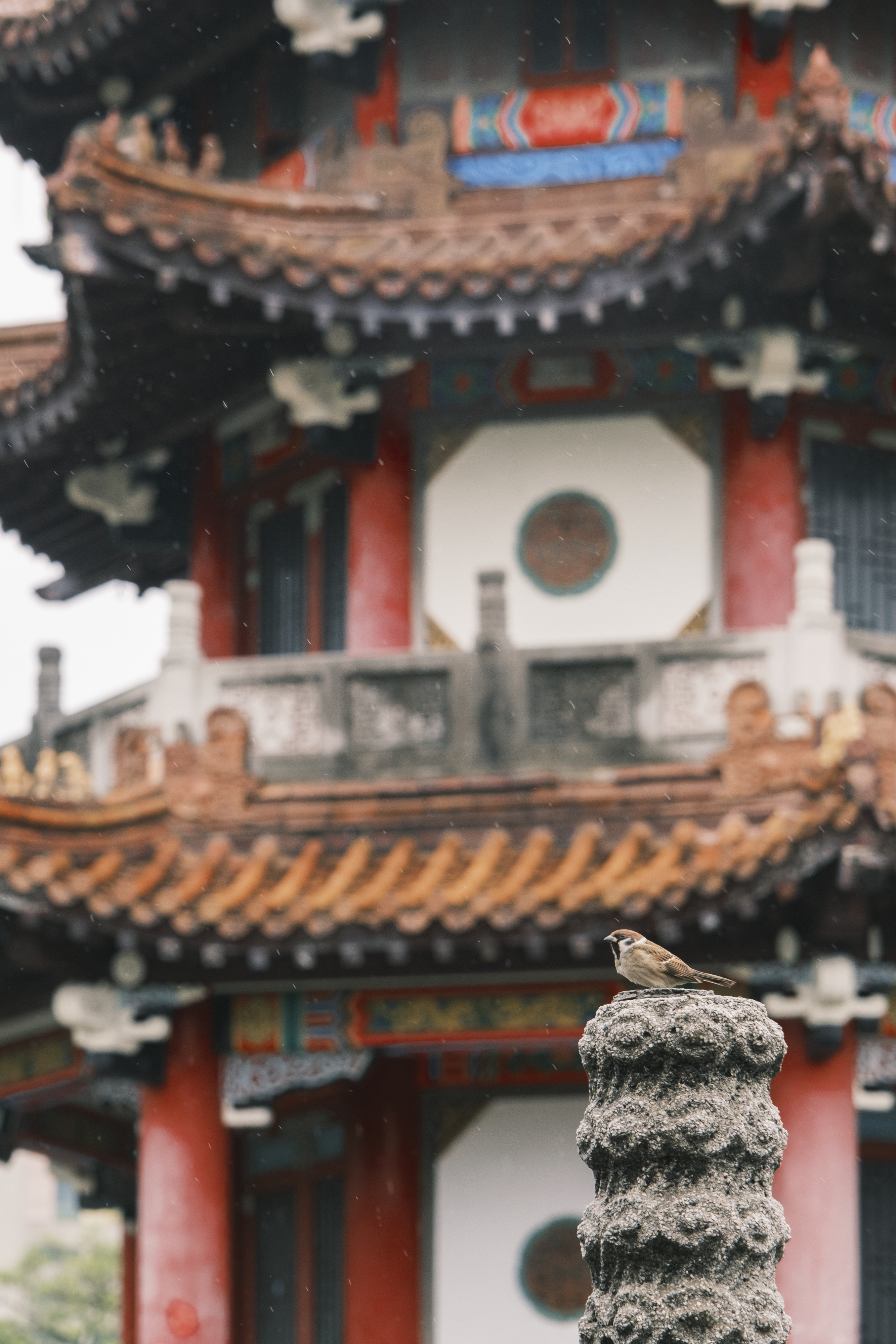 Sparrow Perched on a Weathered Pedestal Before a Red-Tiled Temple