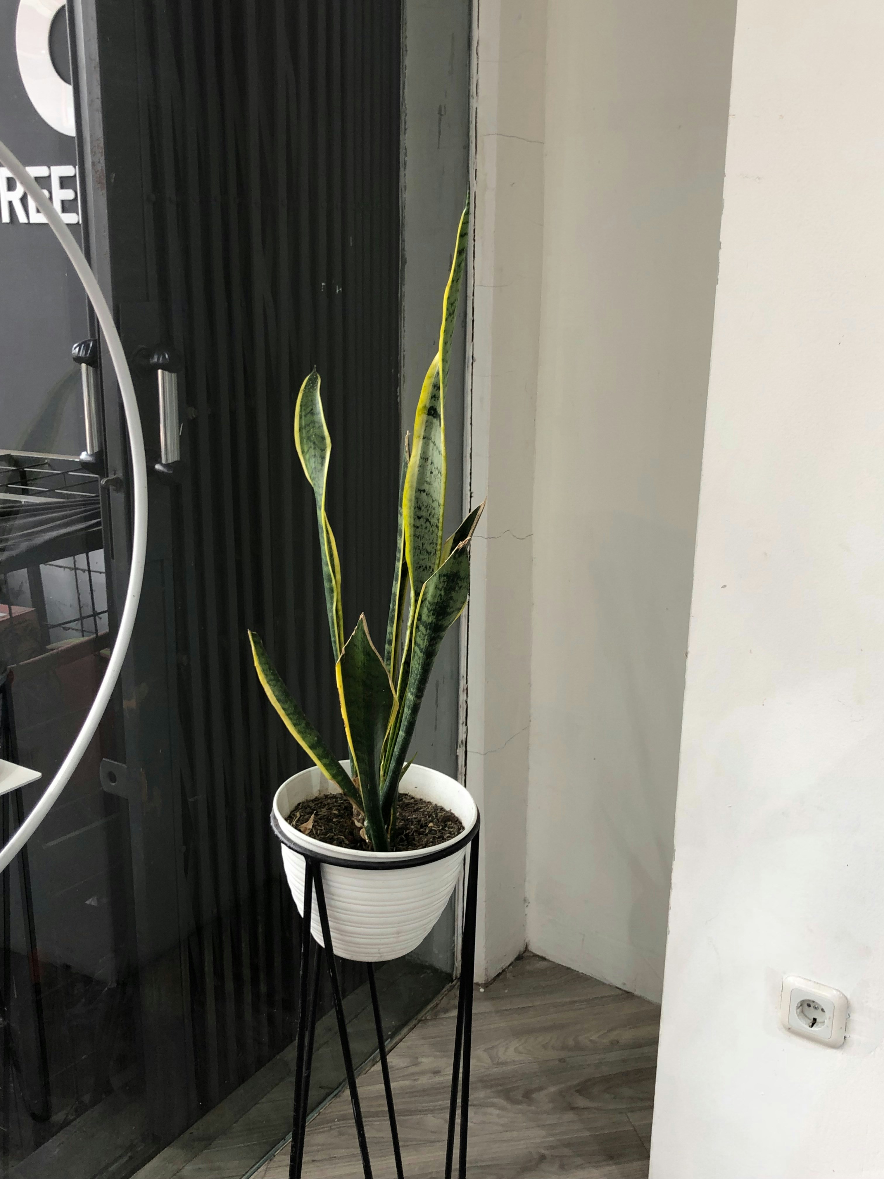 Photo by syifa swalya with Apple iPhone 8 Plus