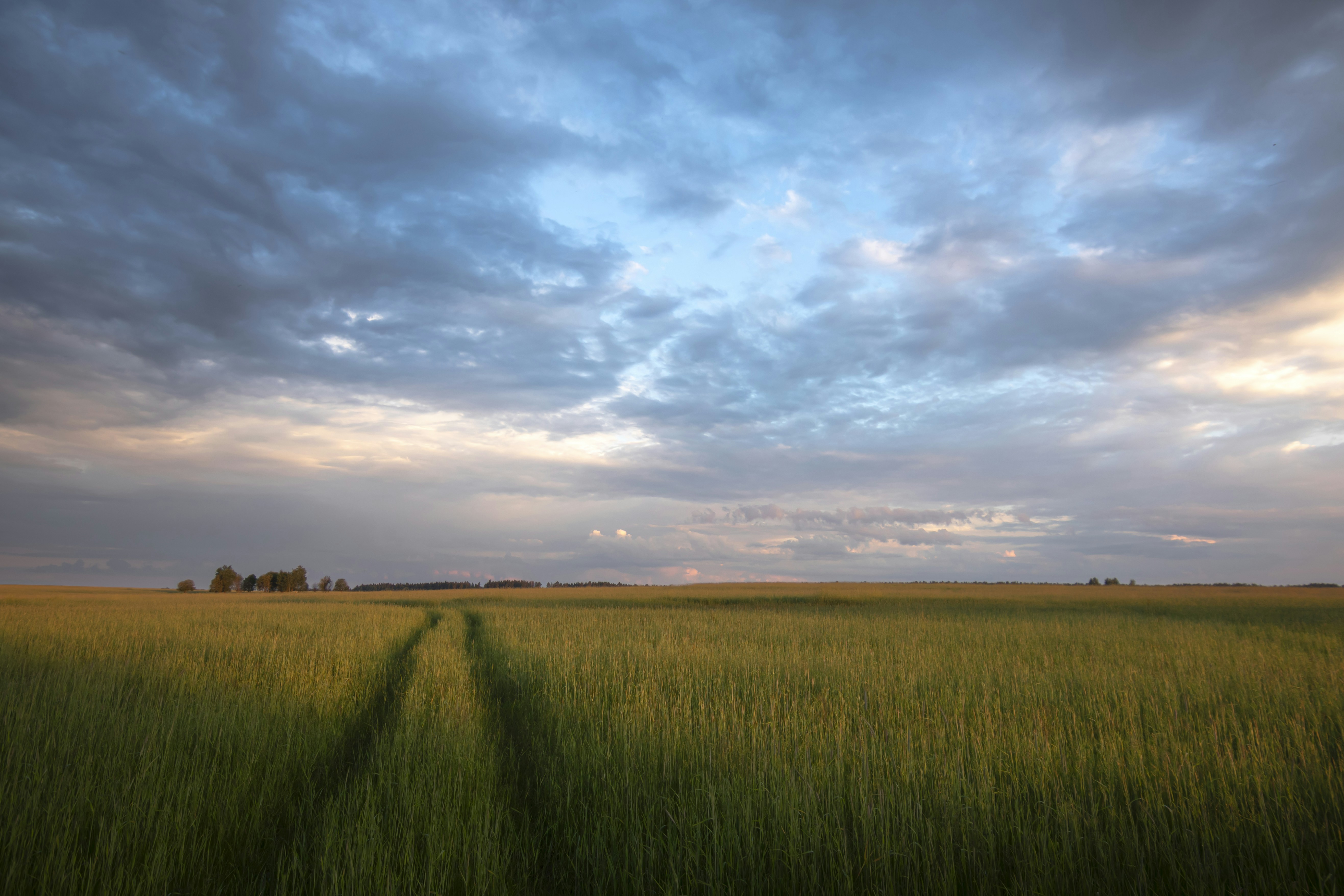 A wide open field with a sky filled with clouds photo – Free Заборье ...