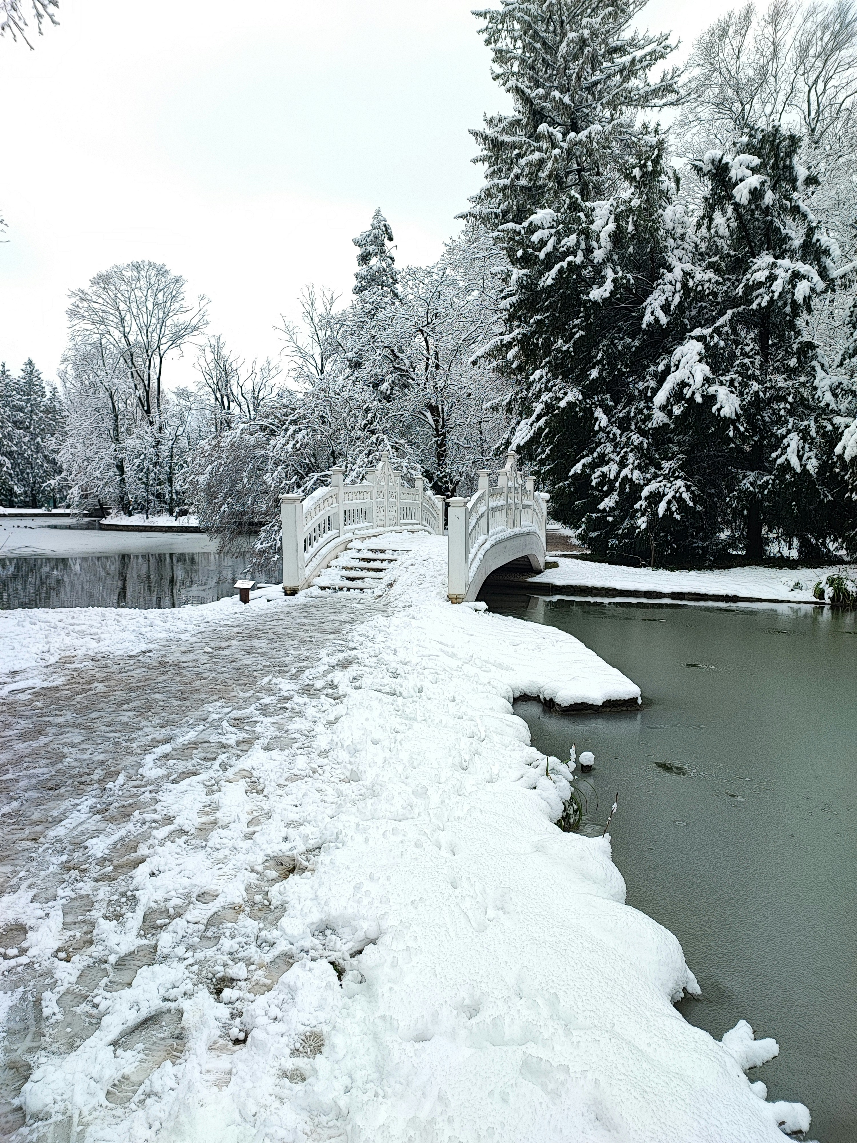 Snow-Covered Bridge Over Quiet Icy Brook