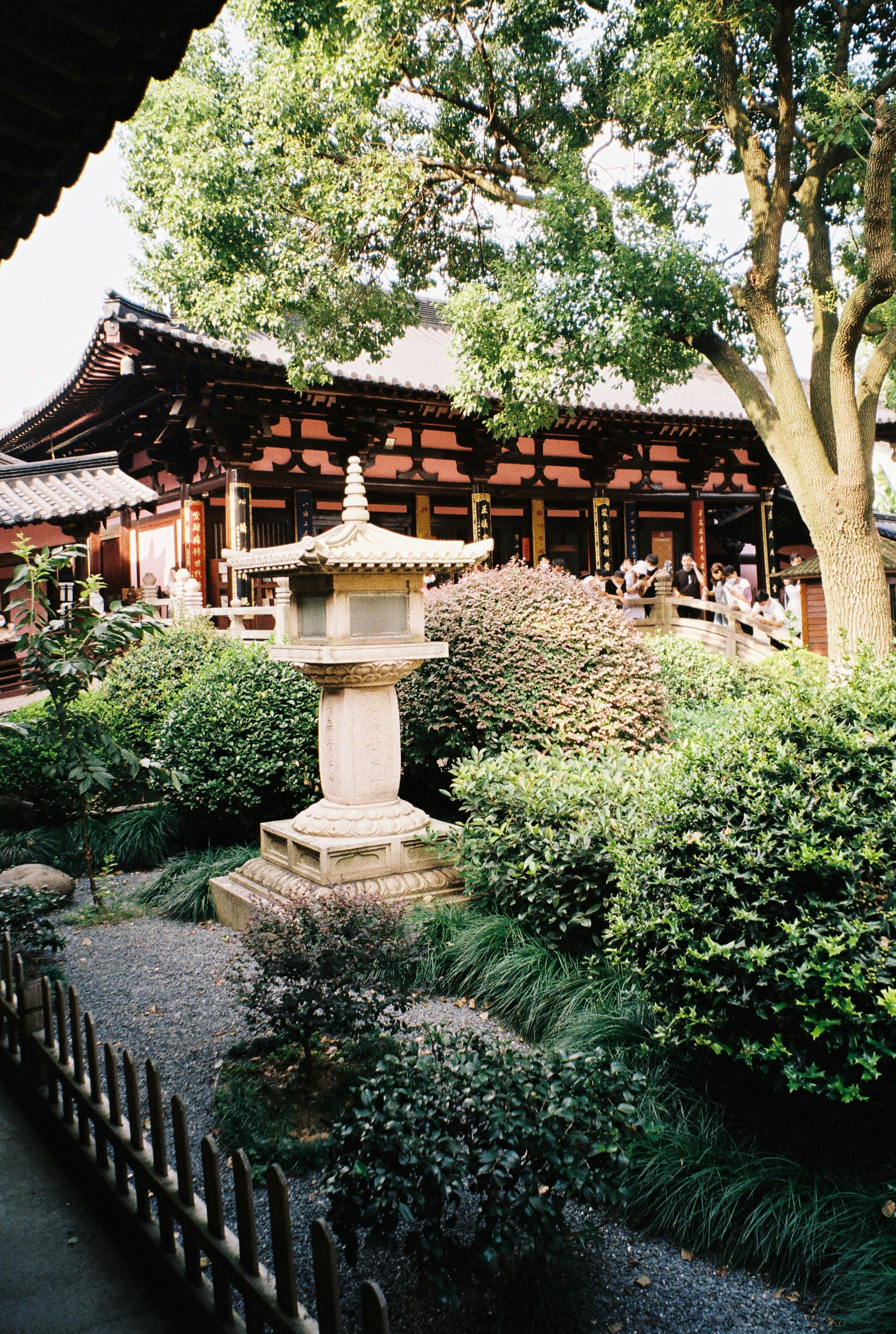 Photo by Janice Liao with Fujifilm SP-3000