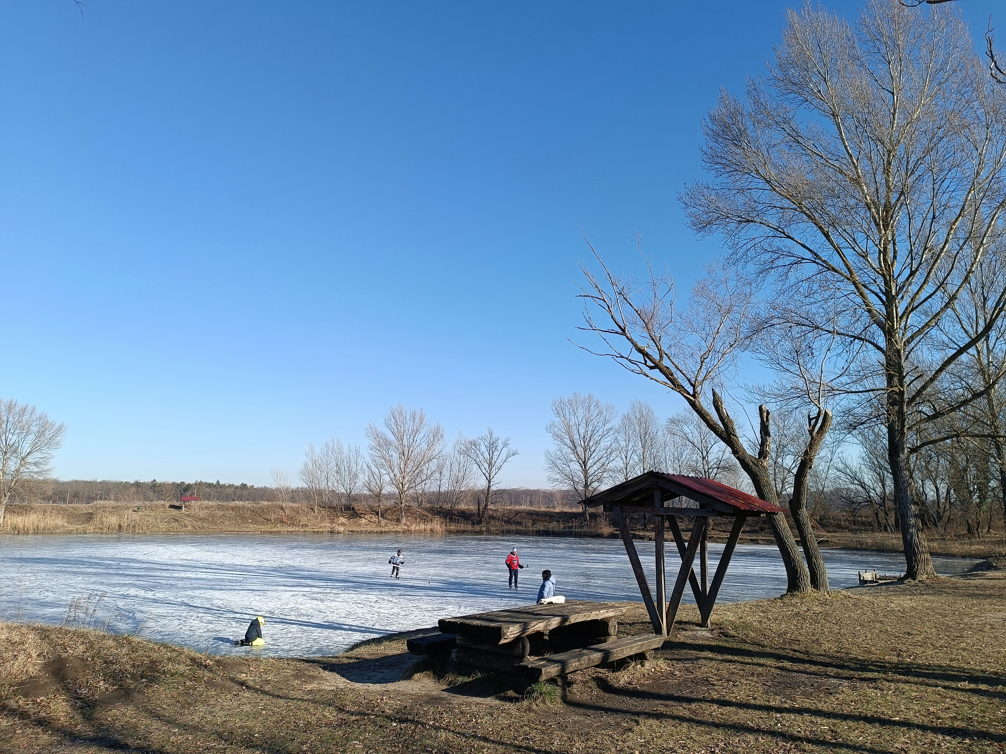 Quiet Winter Shore: Ice, Wood, and Bare Trees by a Reflective Lake