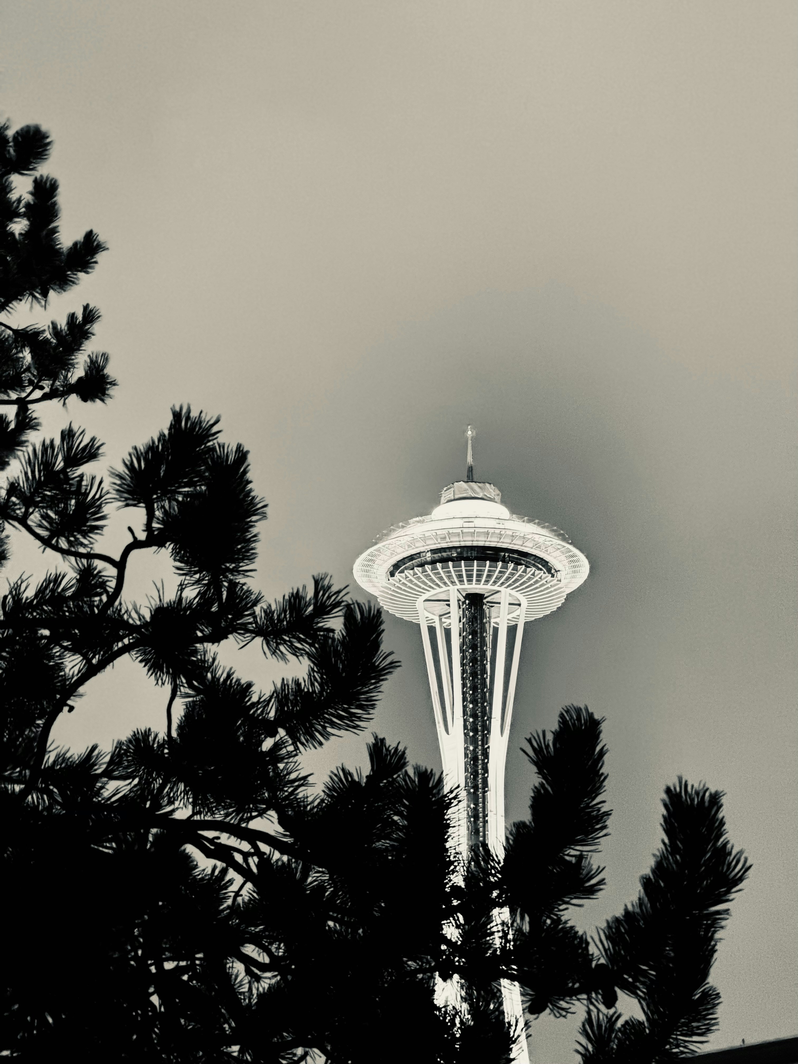 A black and white photo of the space needle photo – Free Space needle ...